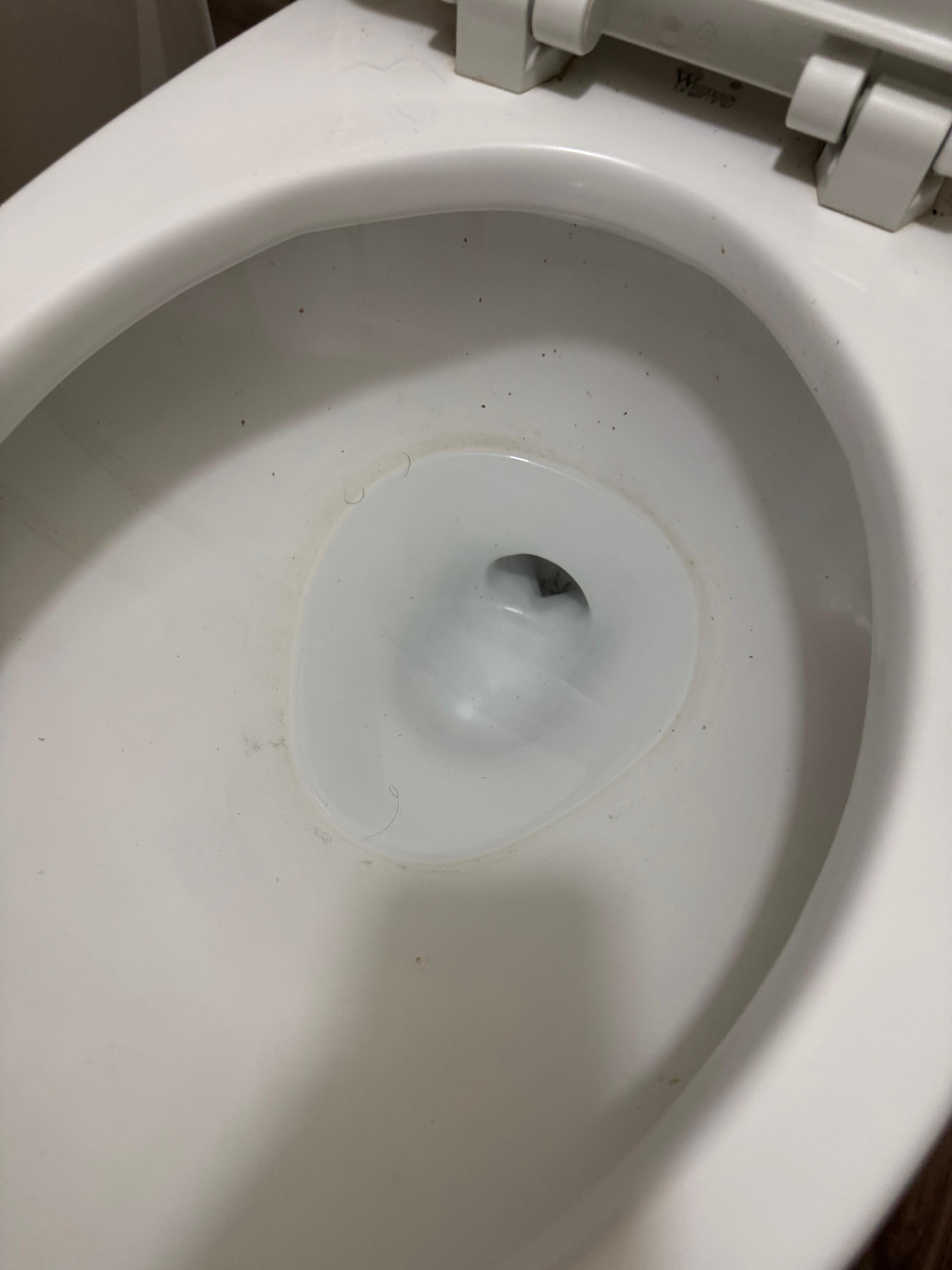 Ring in toilet along with dirty all around shows the toilets are hardly cleaned.