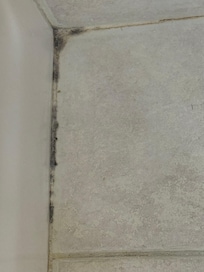Mold all along the floor by the tub
