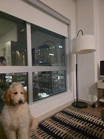 Melo loved the view!