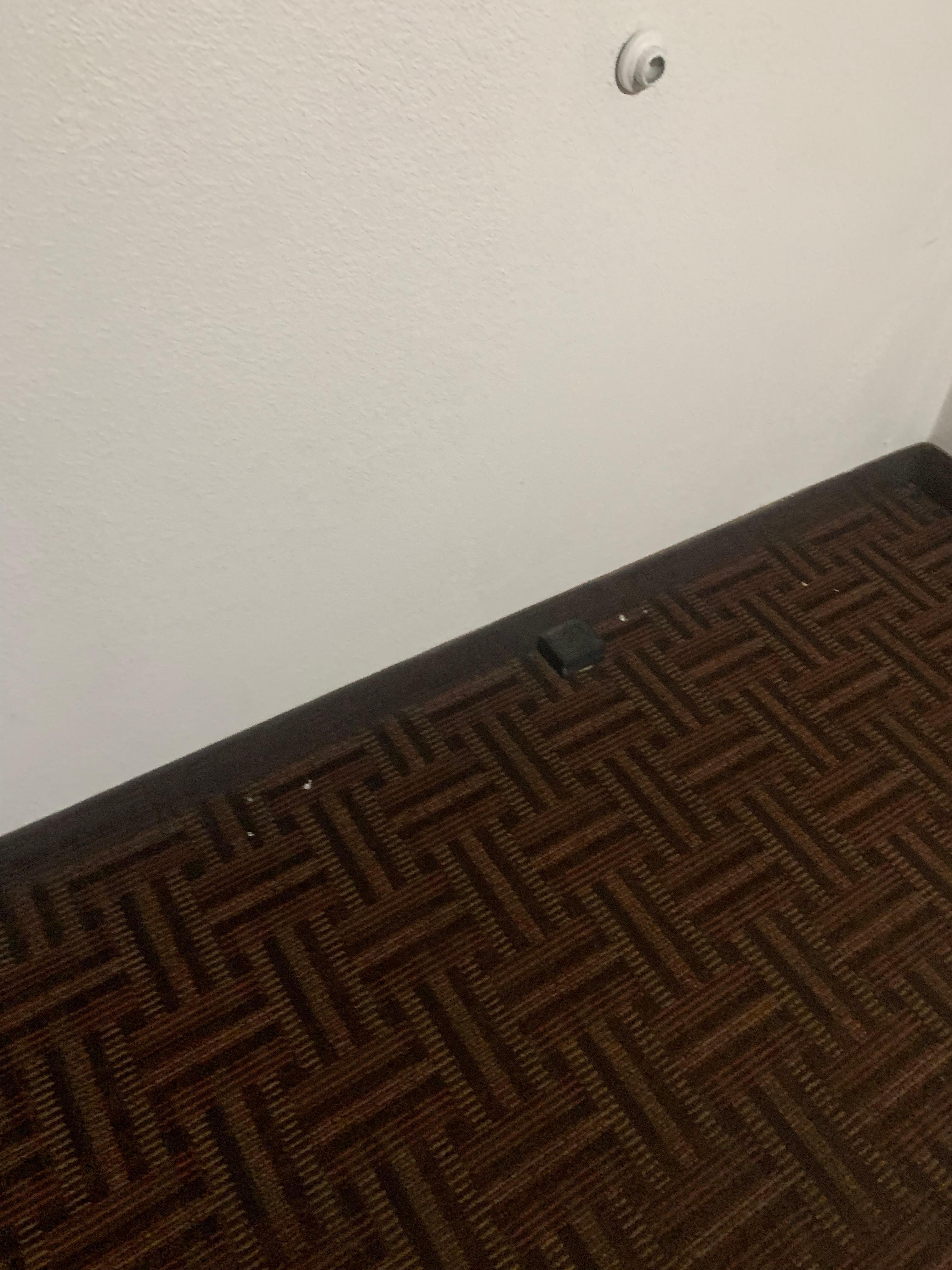 Bugs and crumbs on the floors