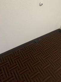 Bugs and crumbs on the floors