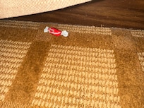 Candy on floor under other bed.