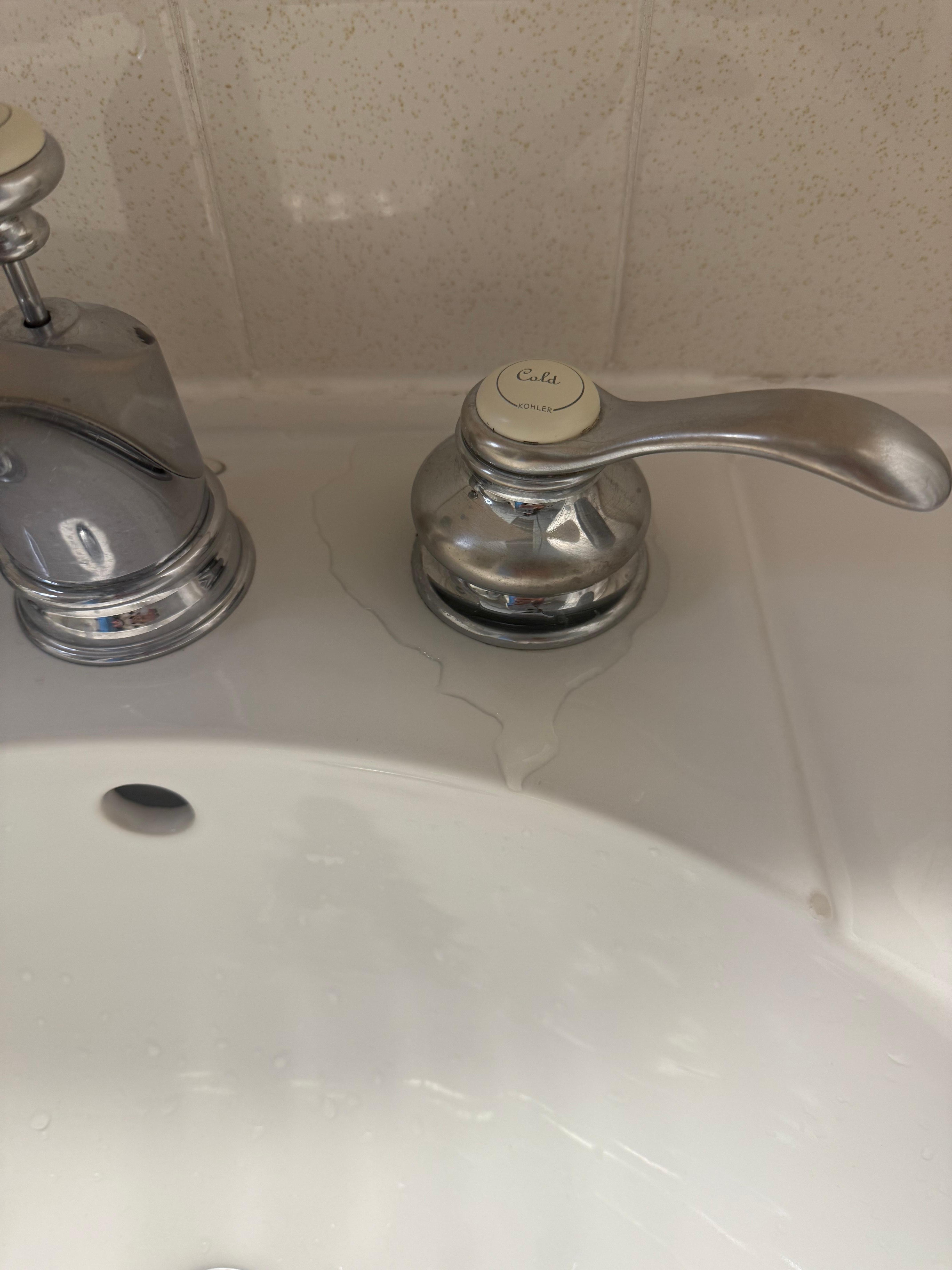 Leaking bathroom faucet
