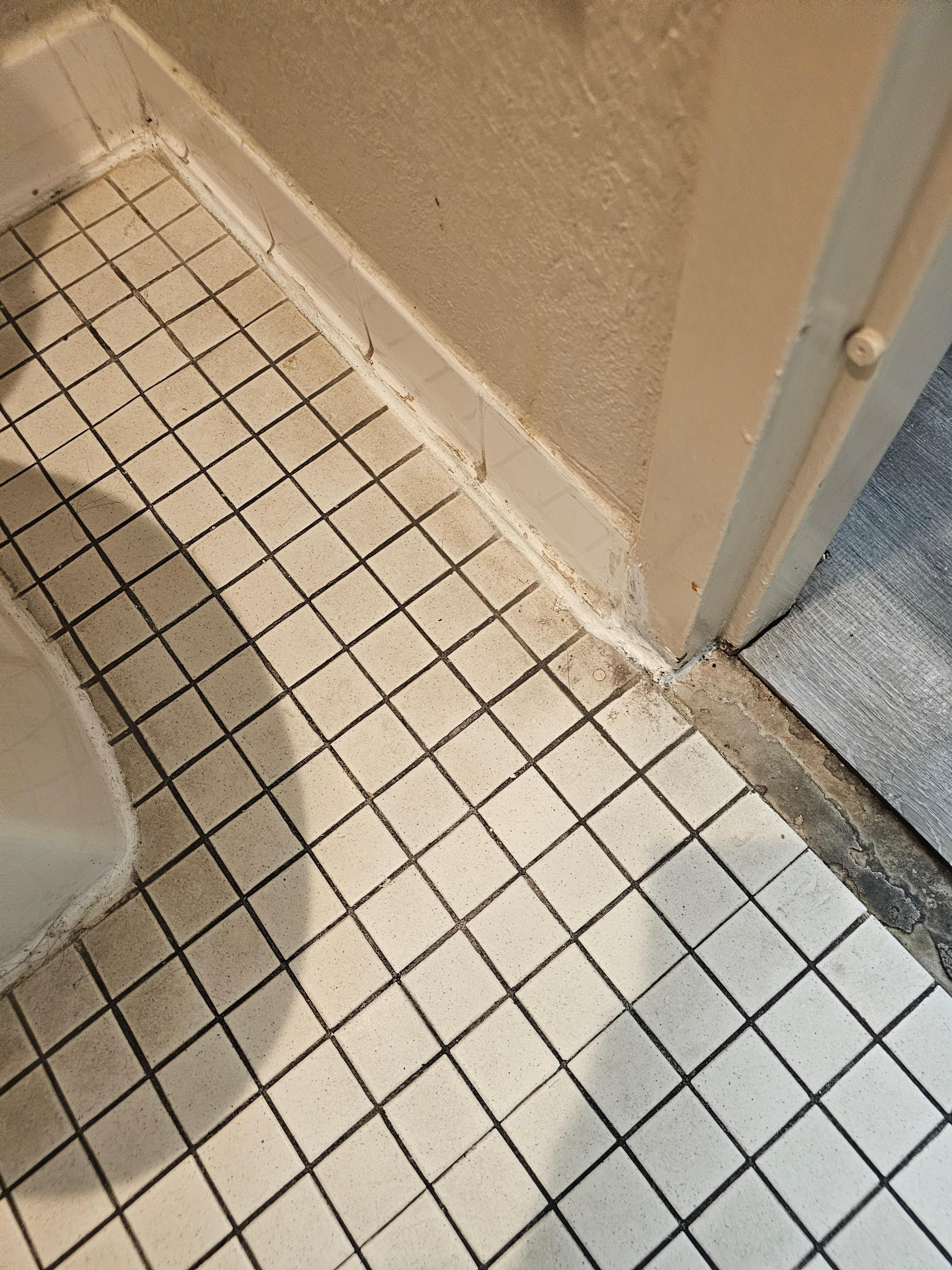 Missing portion of wood at the bathroom entrance 