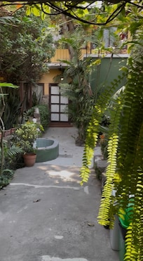 Cozy little place all green and fresh