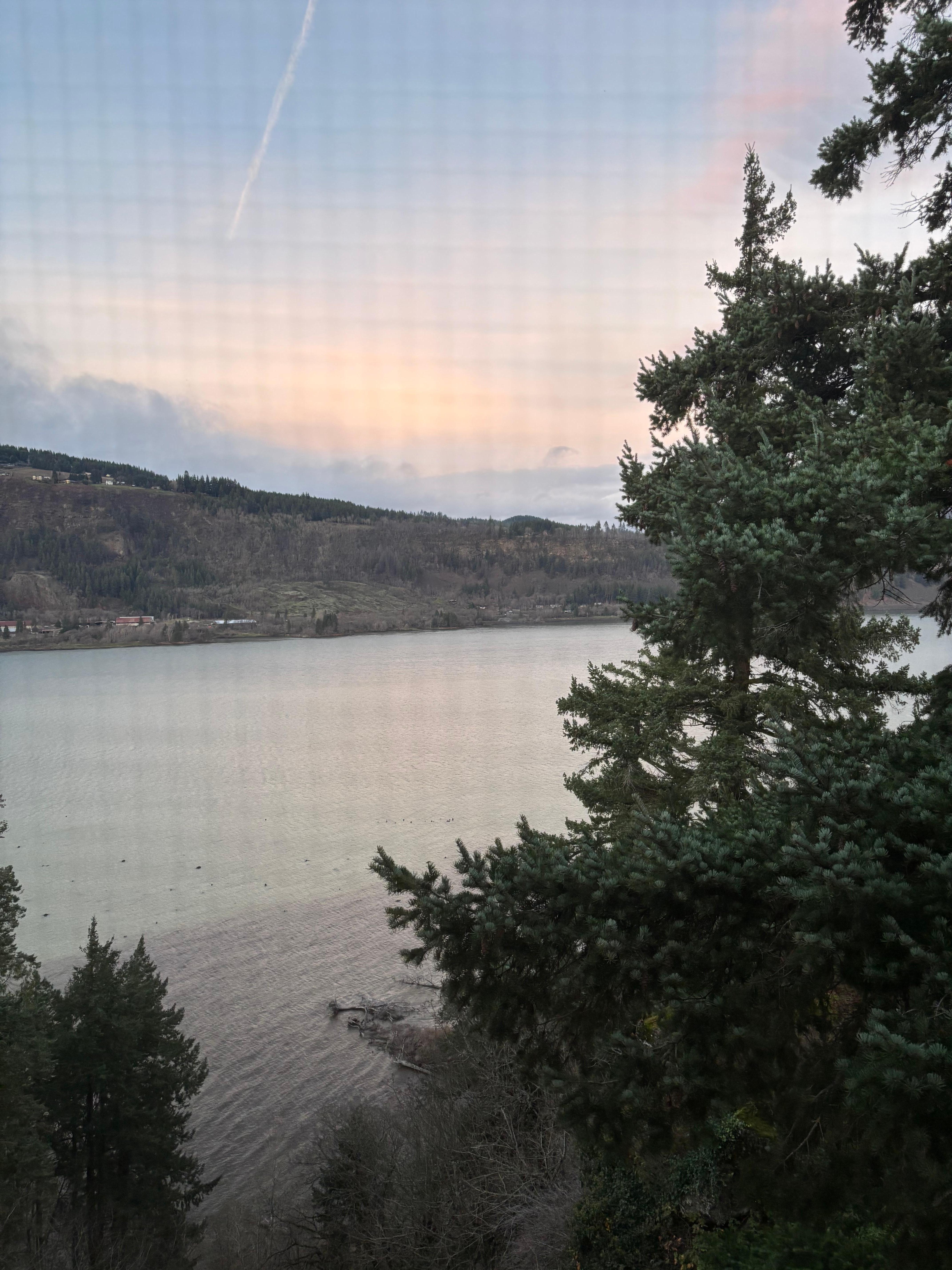 The view from my room. 