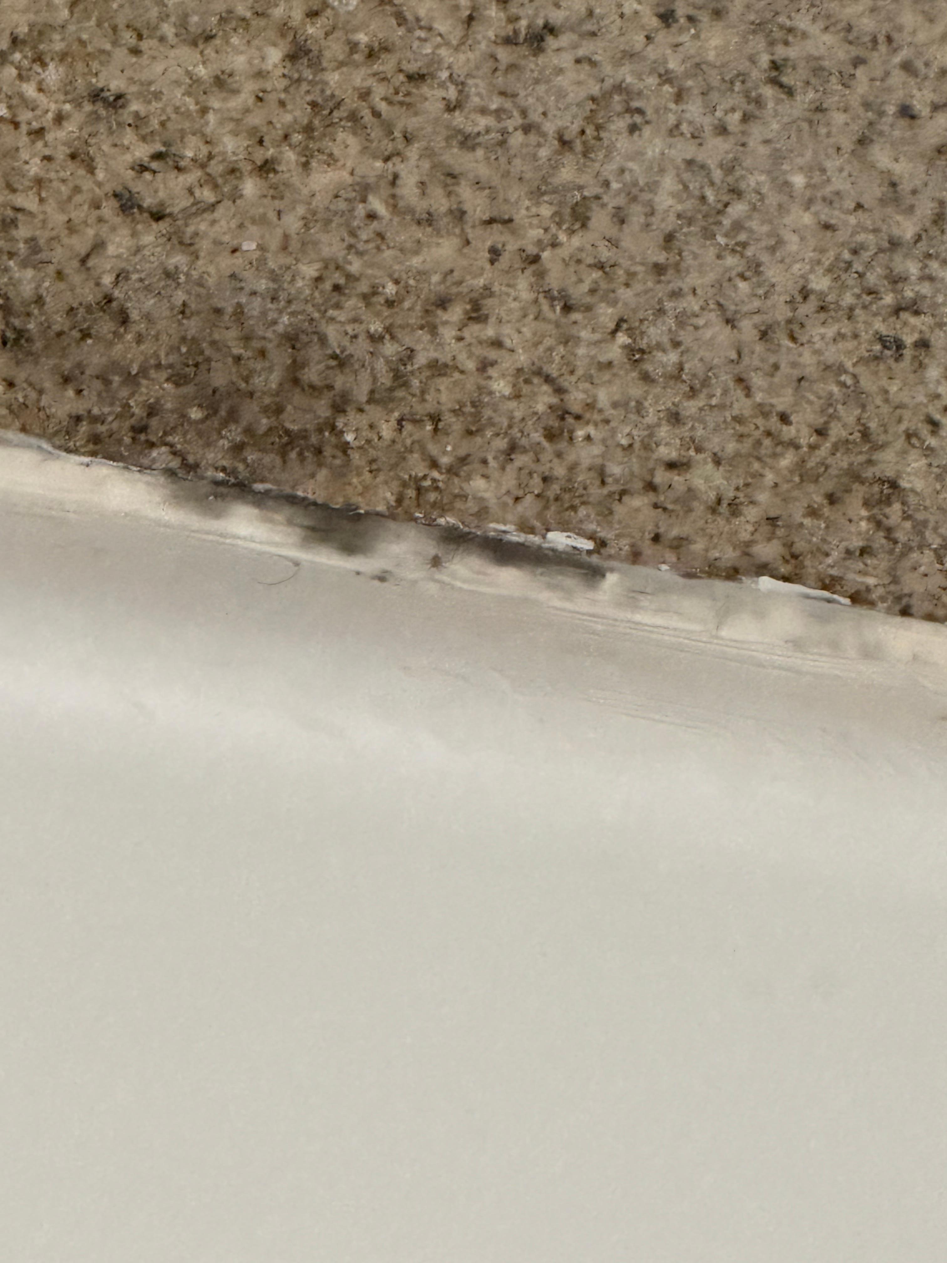 Black mold