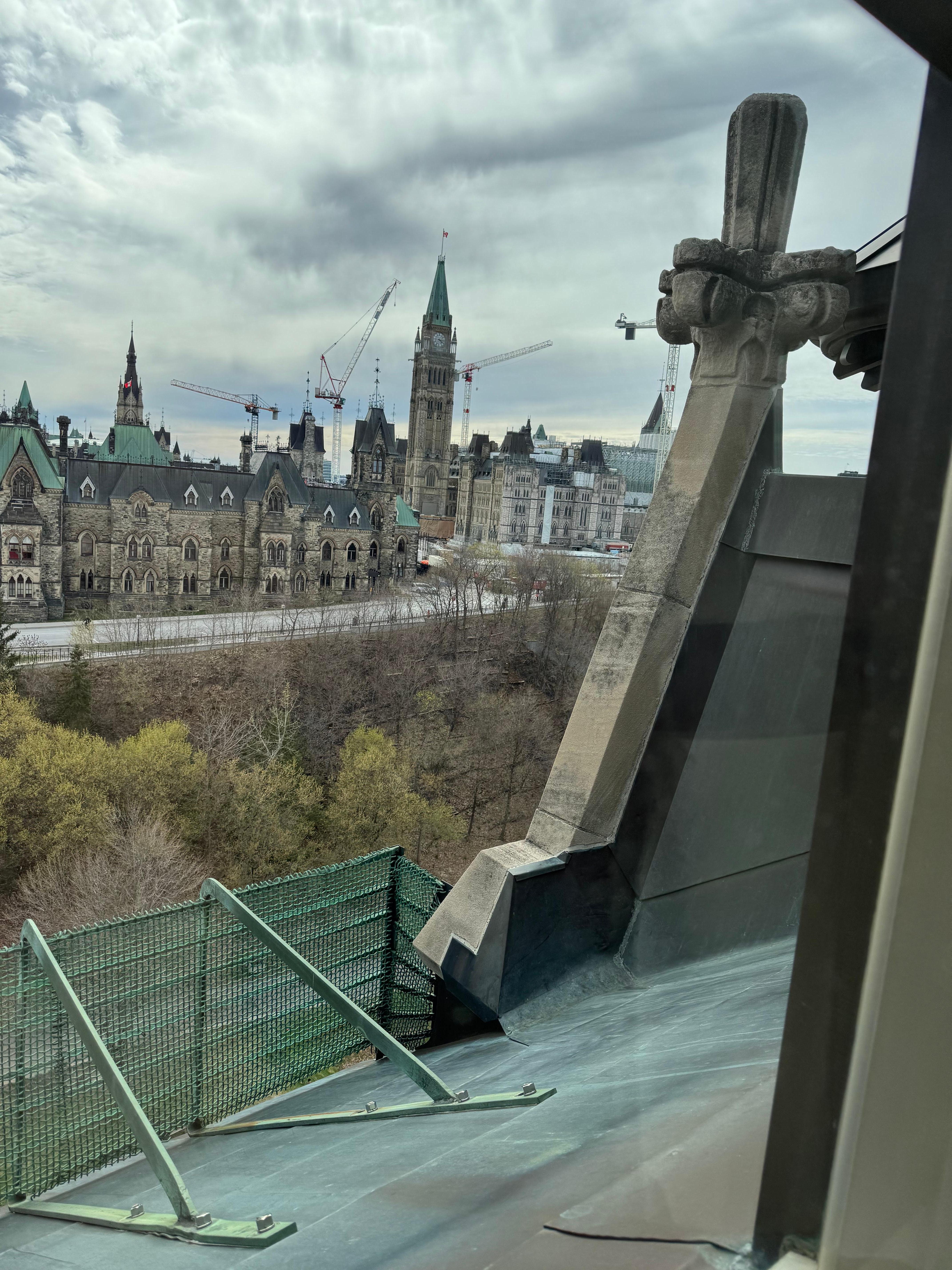 The view