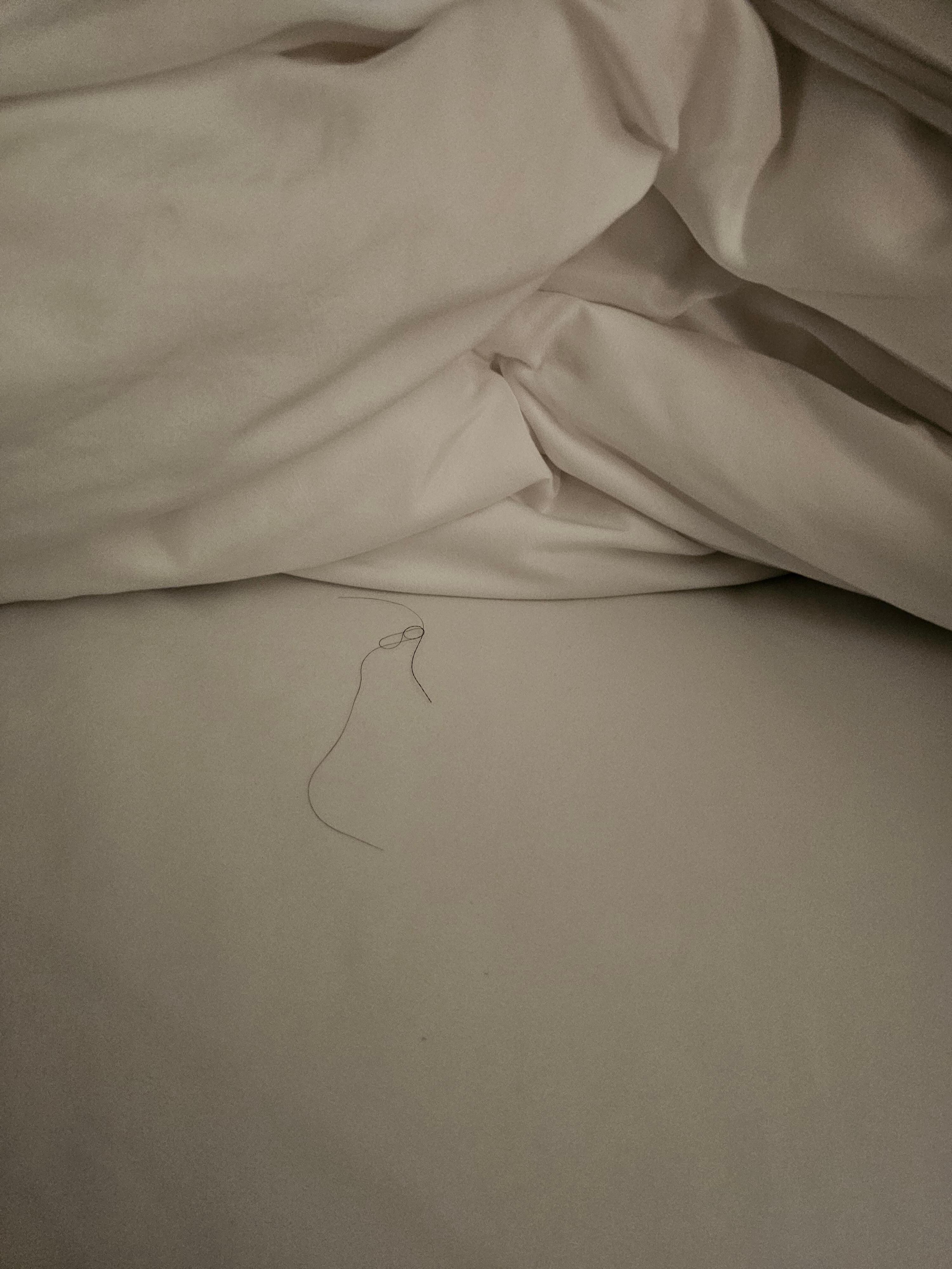 Hair in the bed. 
