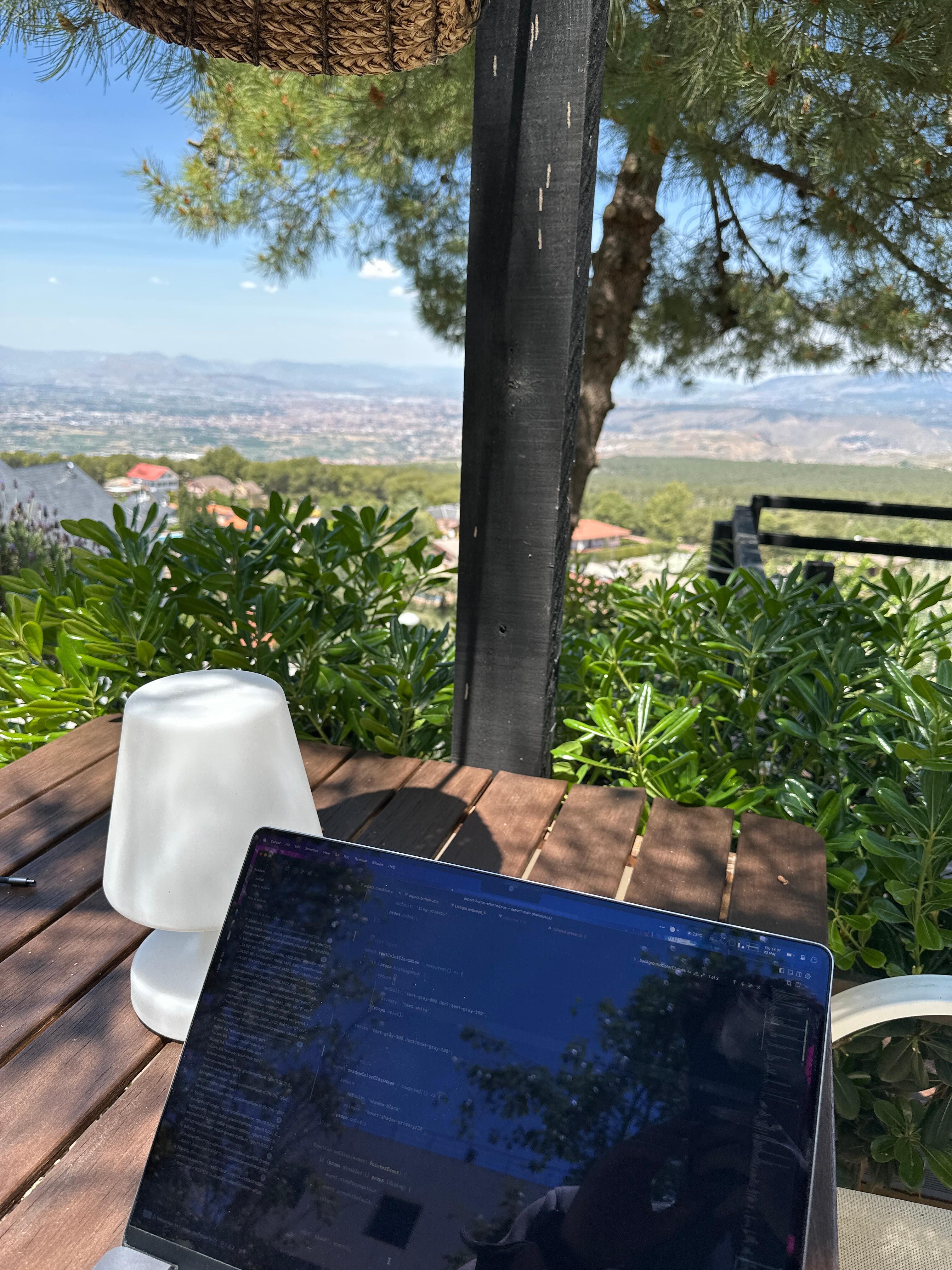 Workationing with a view.