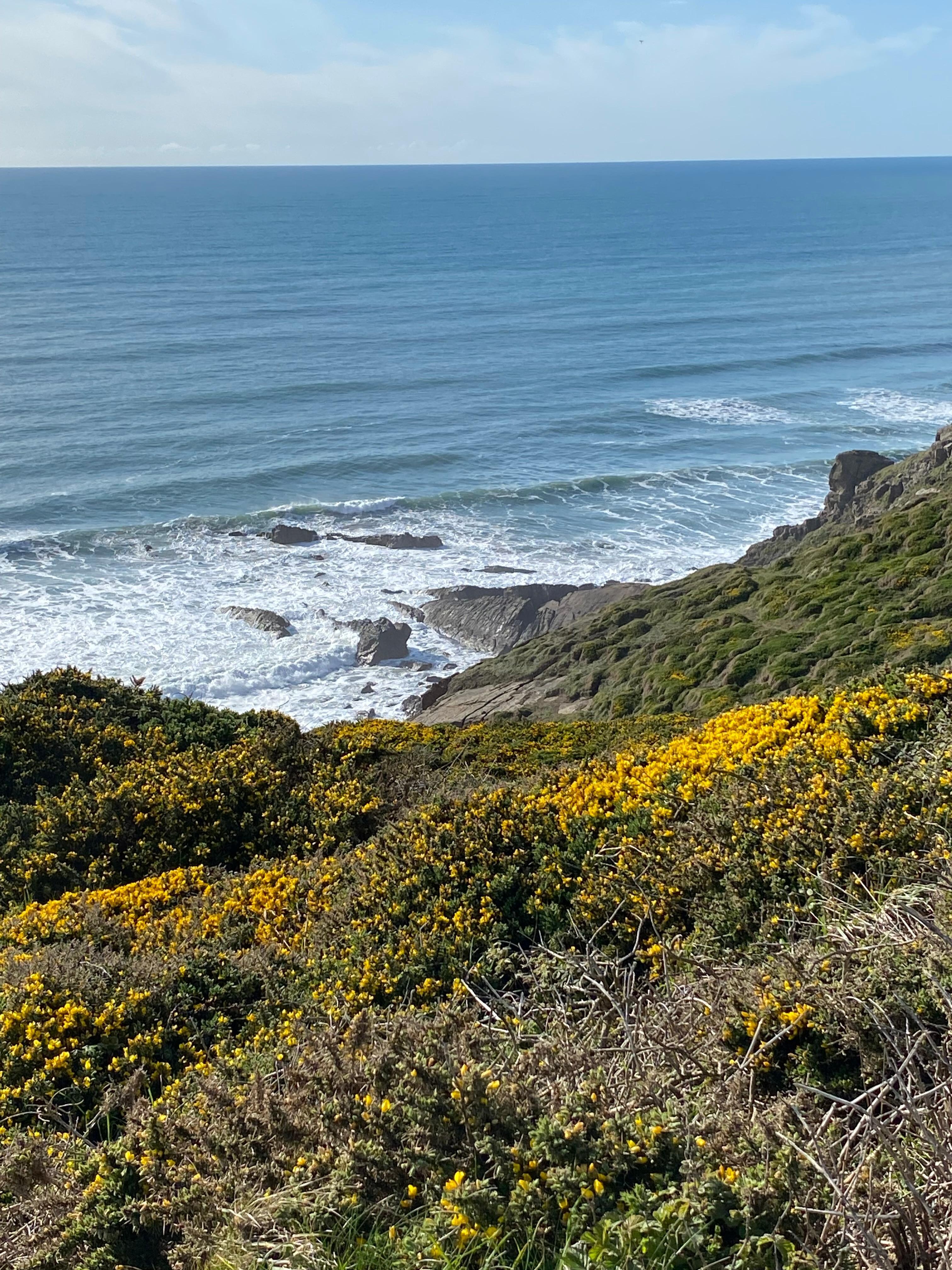 Coastal path