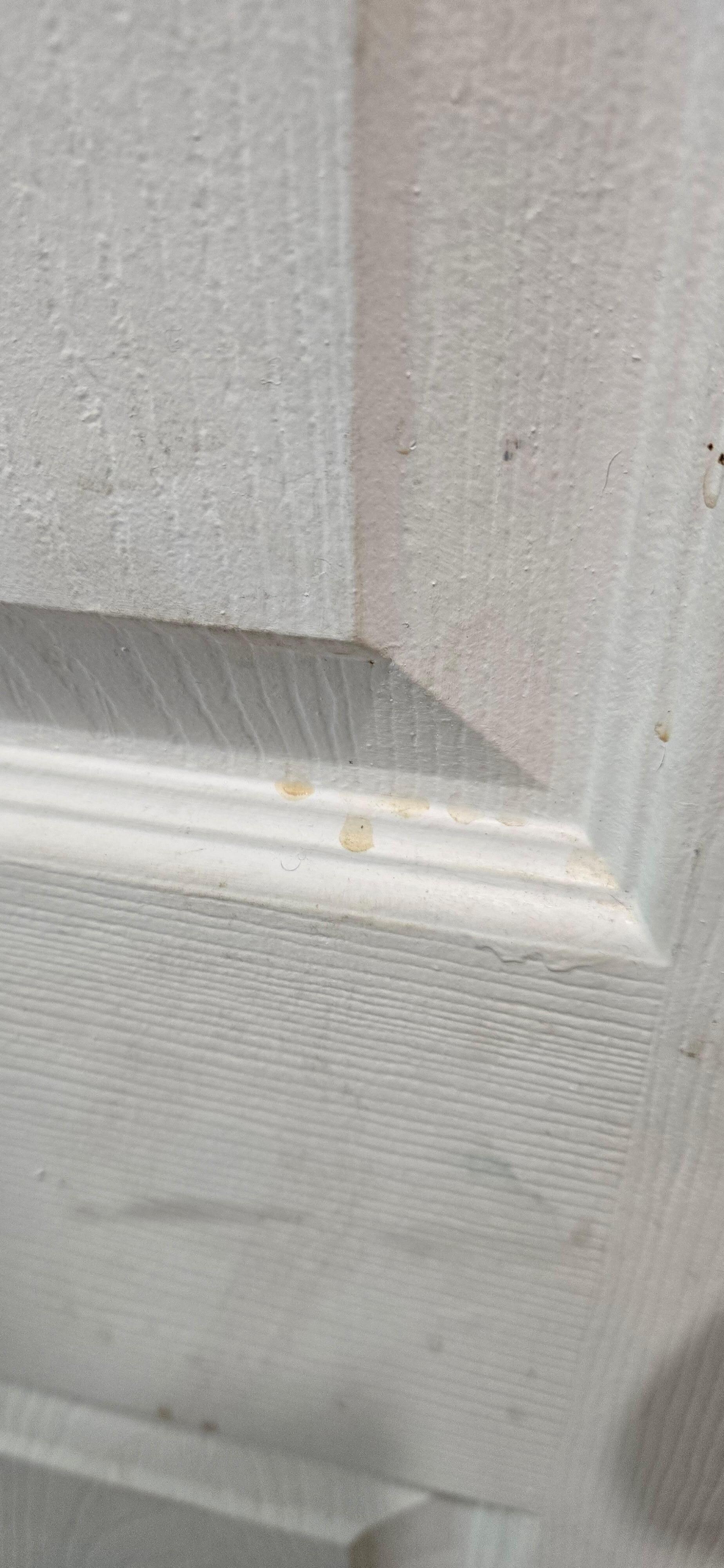 Boogers and dirt on the door