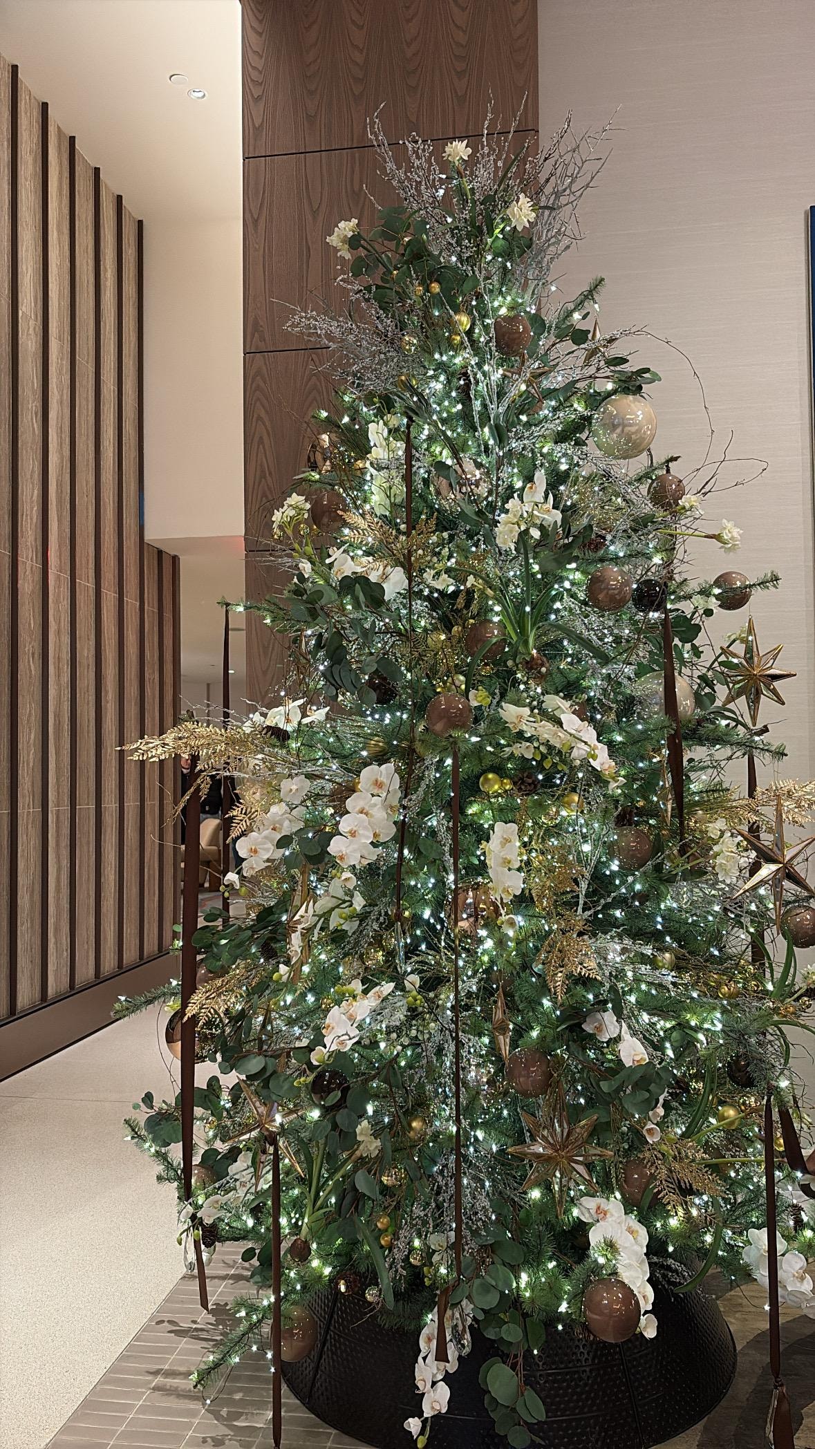 Hotel maravilhoso, fiquei encantada com a decoração de Natal 🎄