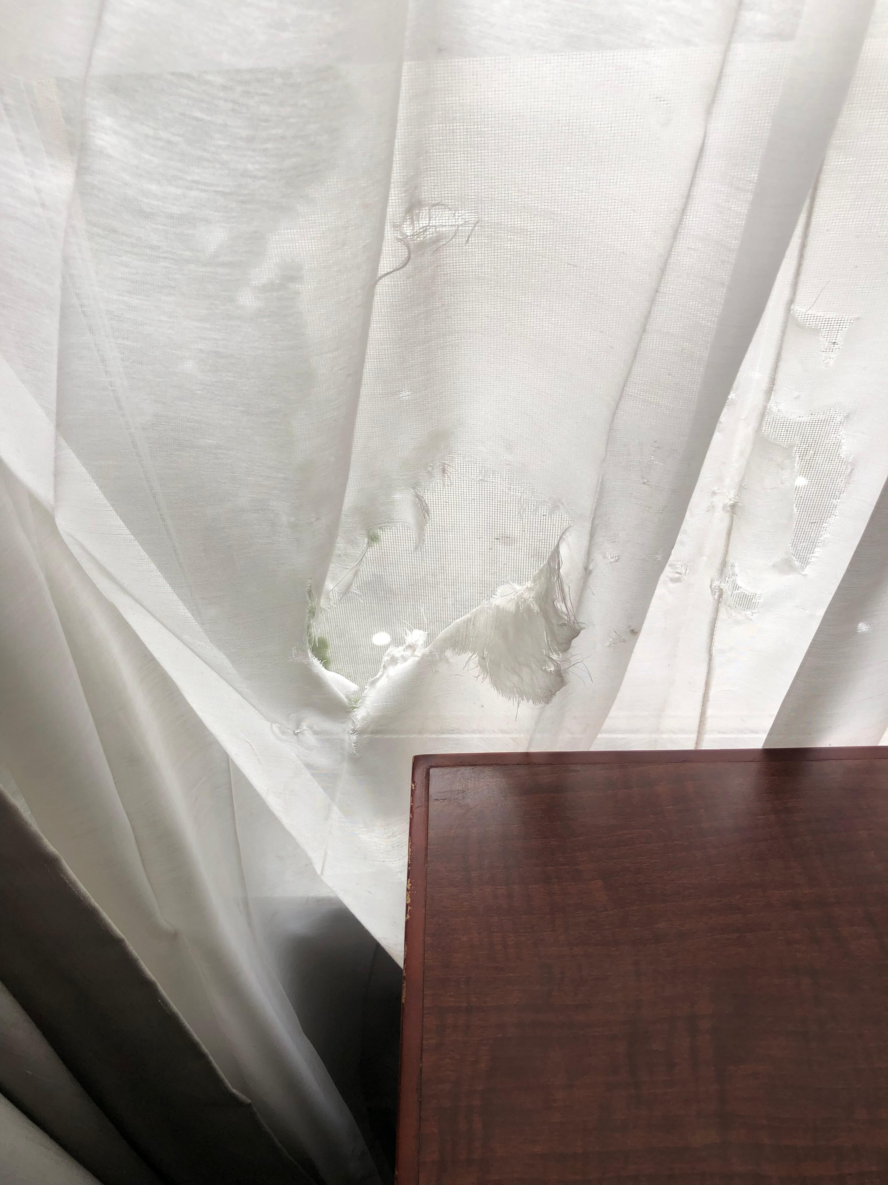 Torn curtains 