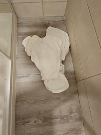 Linge laissé au sol