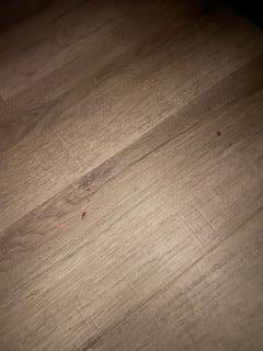 Ketchup (I hope) on the floor.  Floors also had pooled water under the refrigerator, because they just unplug it during the day without a towel to absorb water.