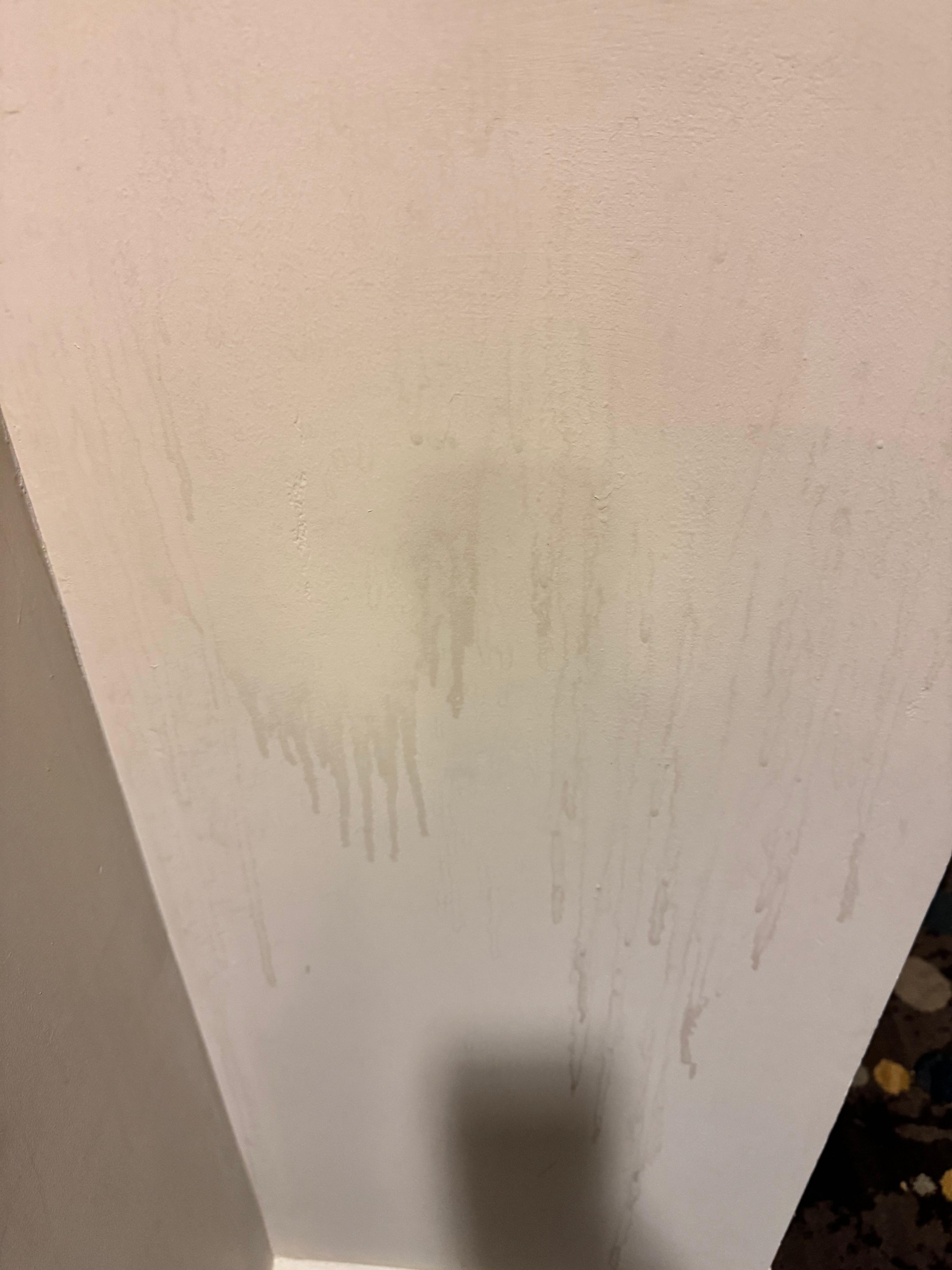 This was the wall outside my room