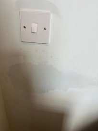 Suspect stains on all the walls