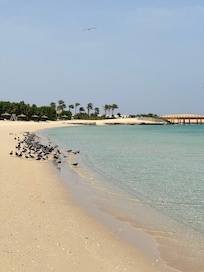 Bord de la plage qui est partagé avec les maisons en bord de plage