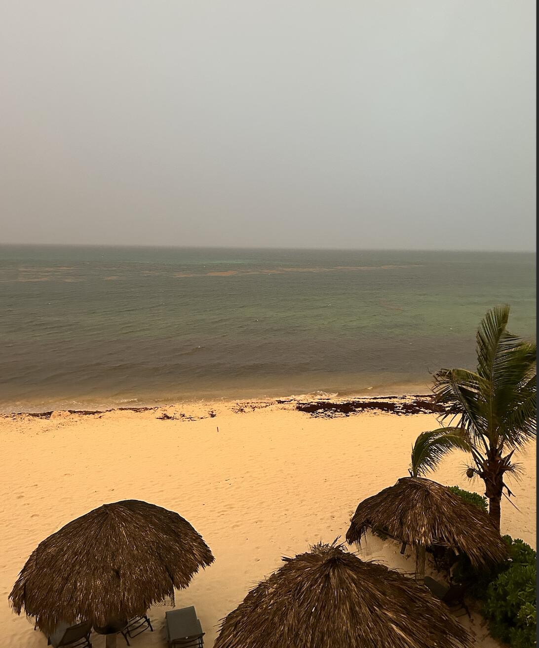 Villas De Rosa Beach Resort in Akumal: Reviews, Deals, and Hotel Rooms ...