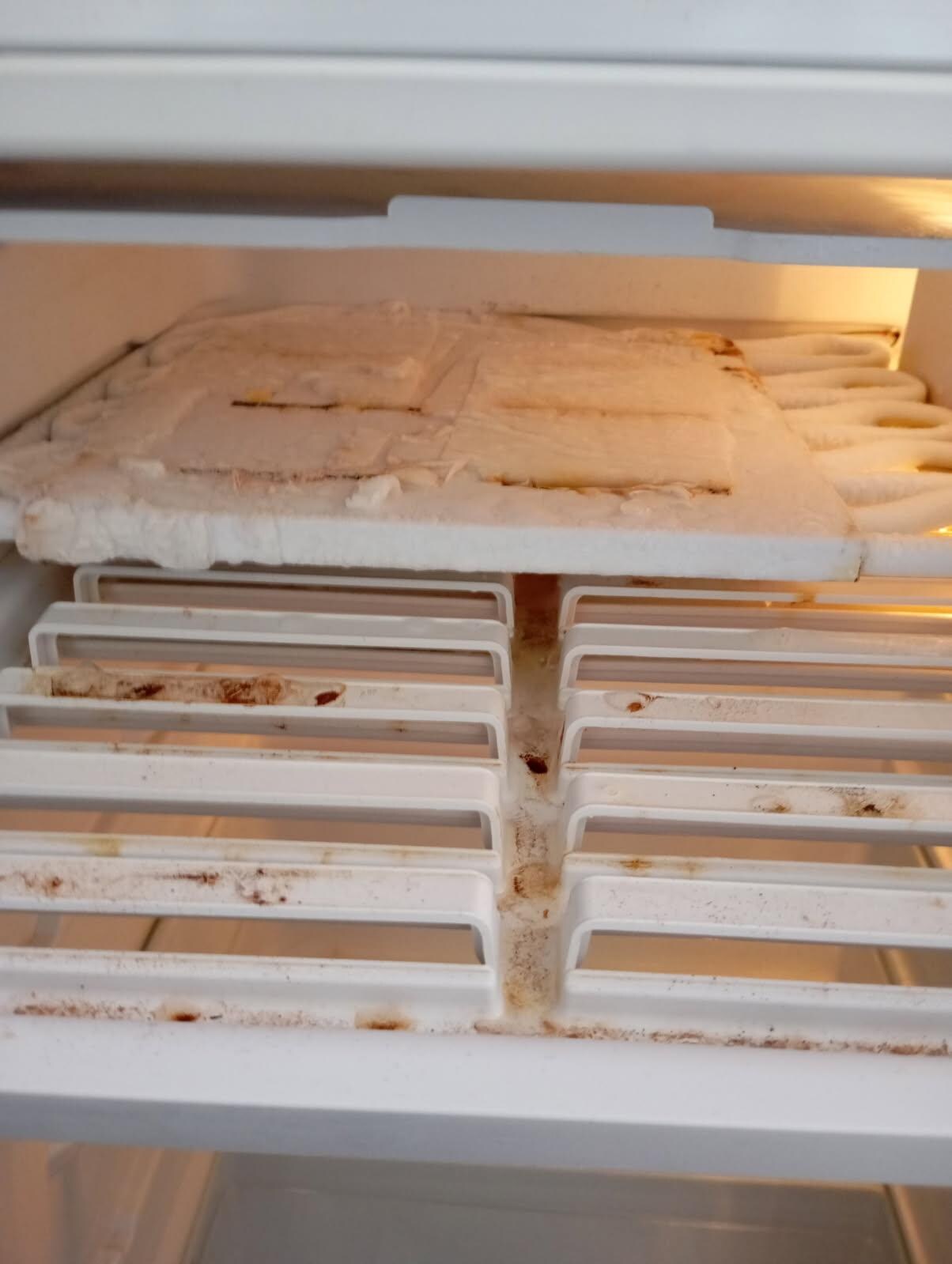 Freezer sal