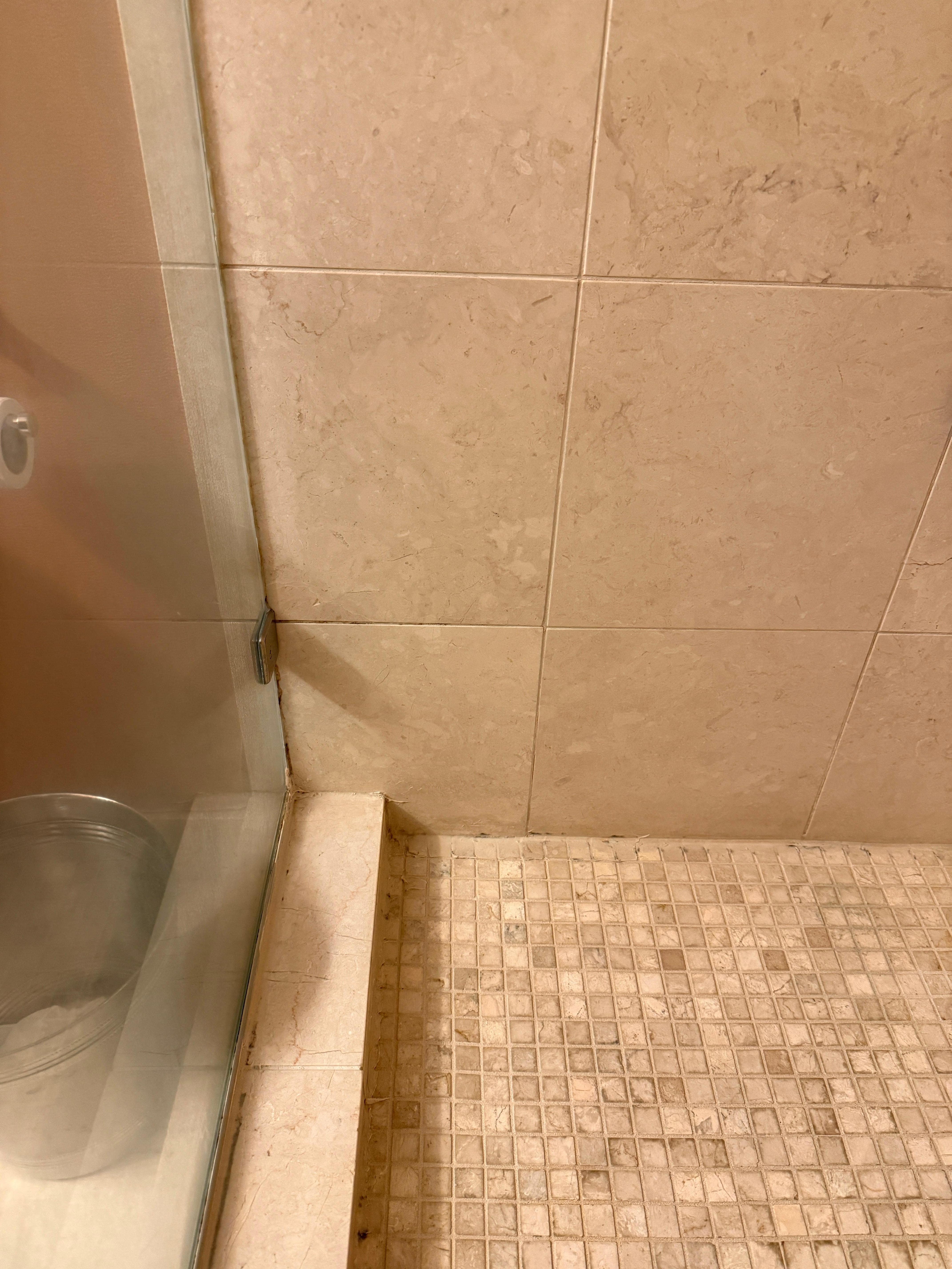 Dirty shower, visible mold.