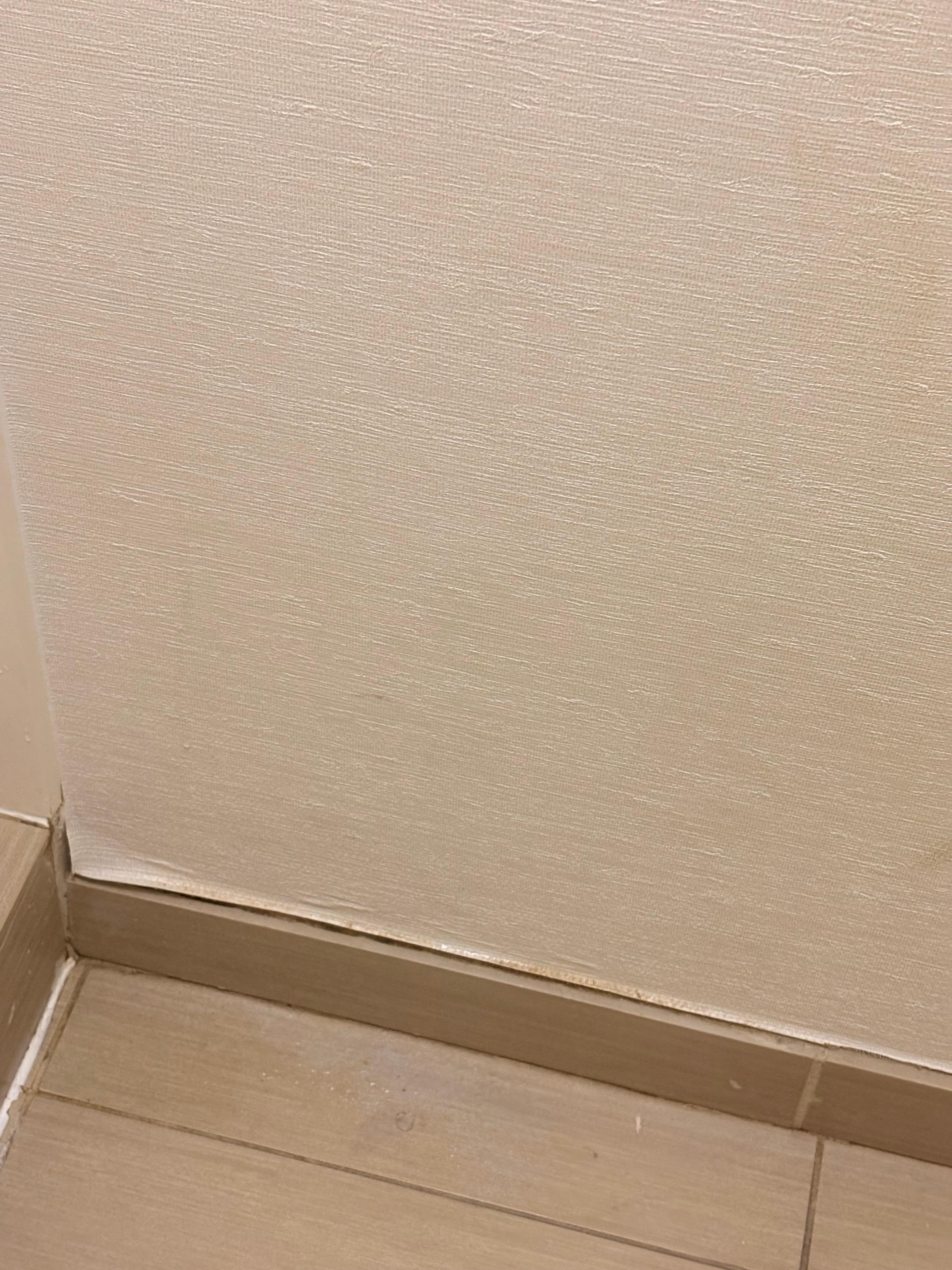 Wall behind shower door also water damaged