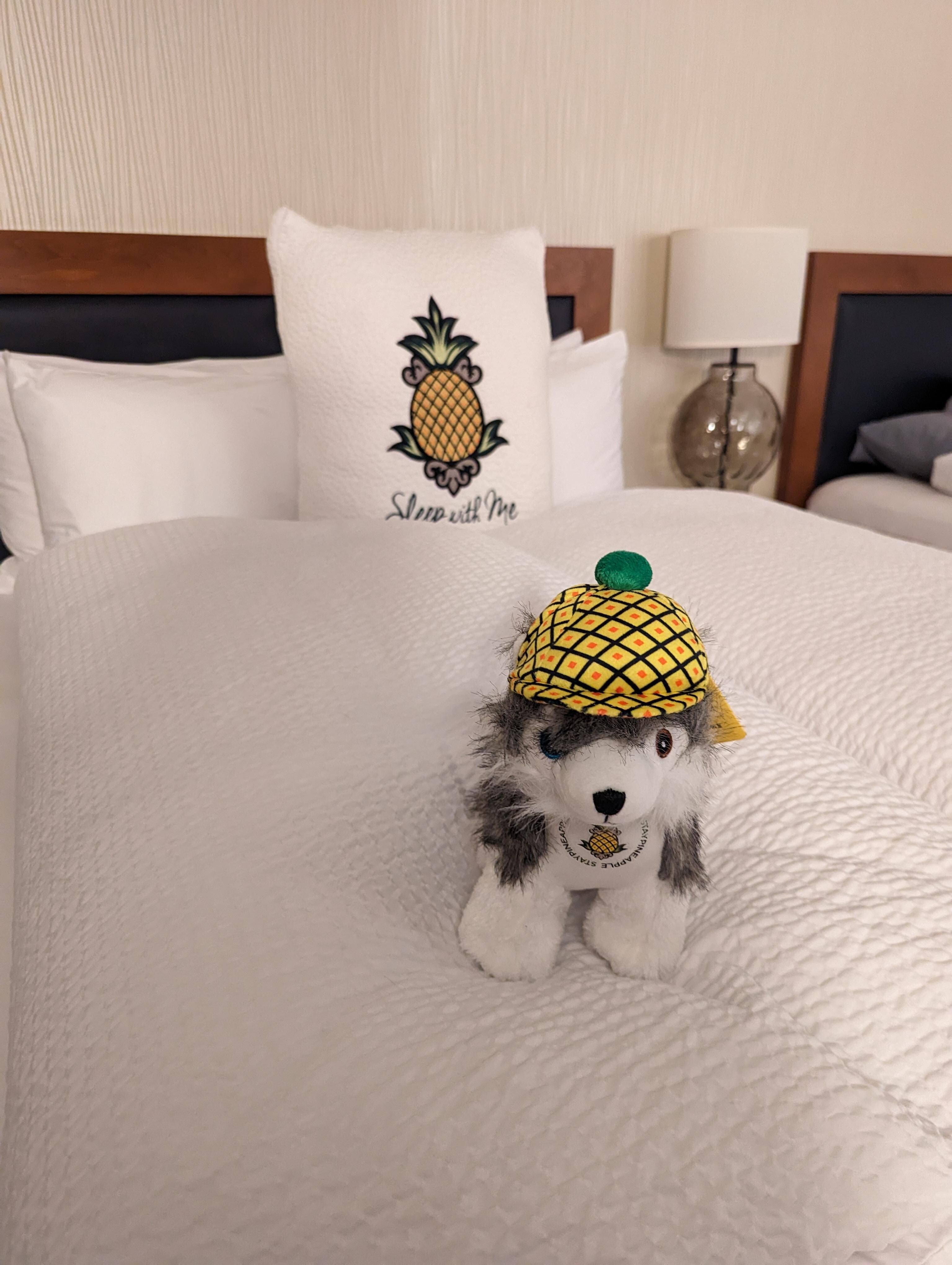 Book Staypineapple, Watertown, University District Seattle in Seattle ...