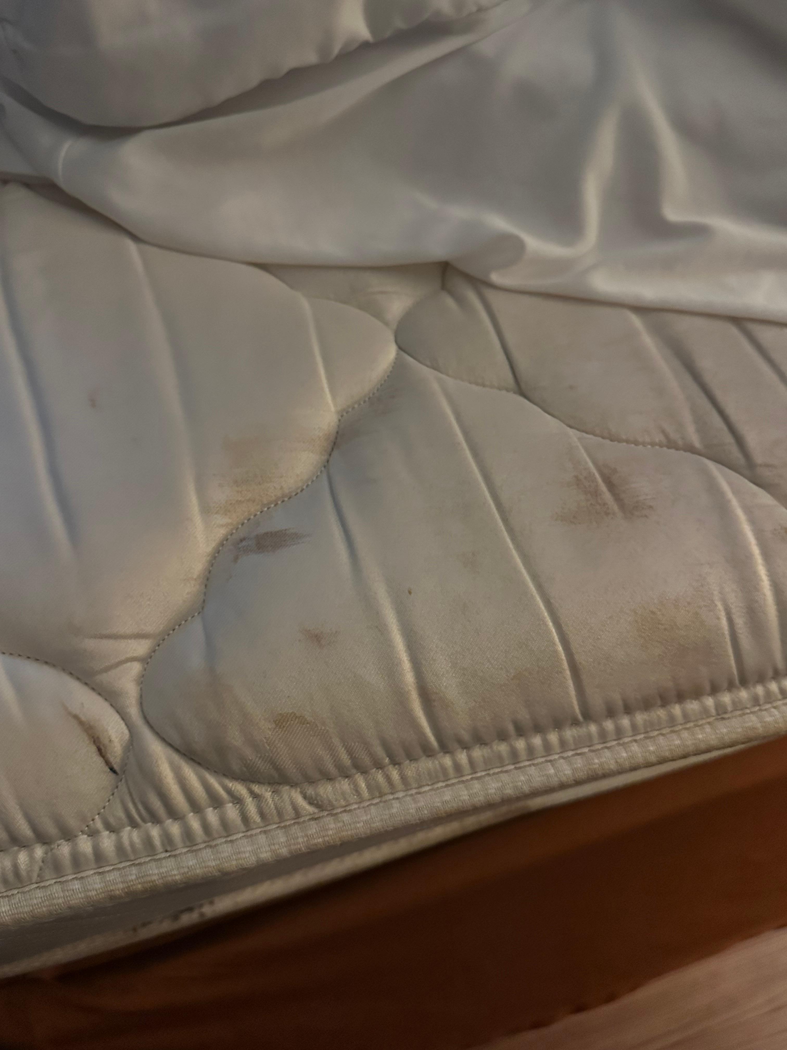 Filthy mattress