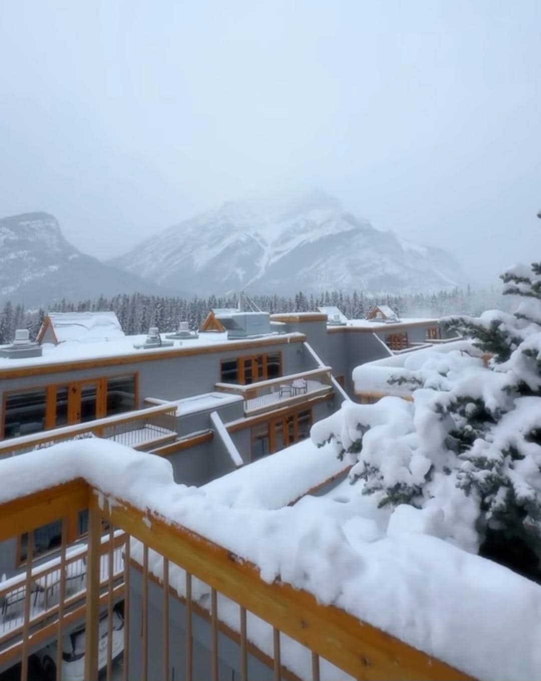 Check out this amazing view from our room!