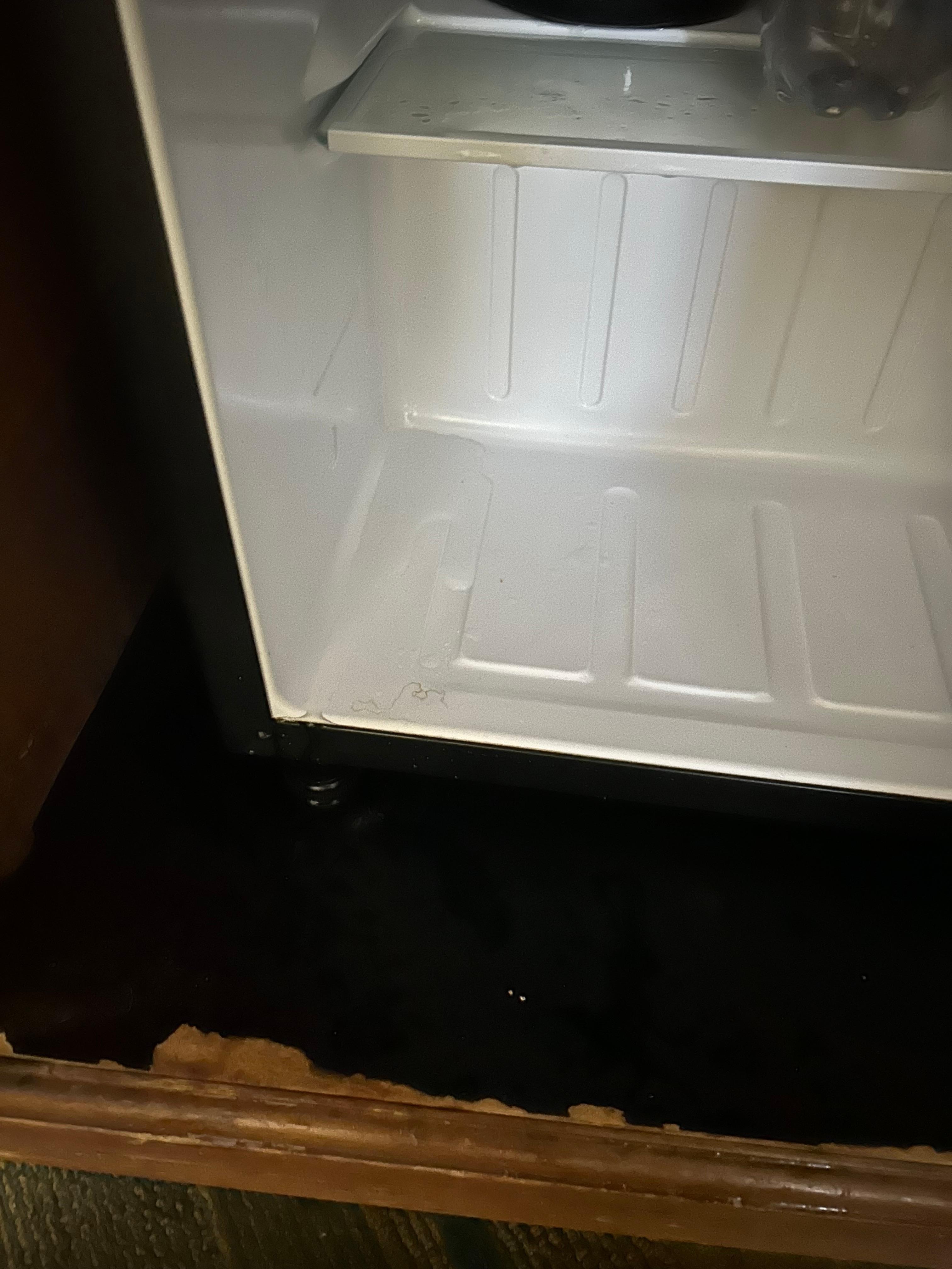 Broken and leaky fridge with hair