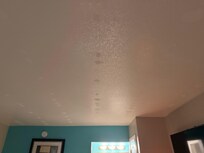 Un sanded, drywall mud covering nail holes.