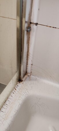 Suihkun home ja lika