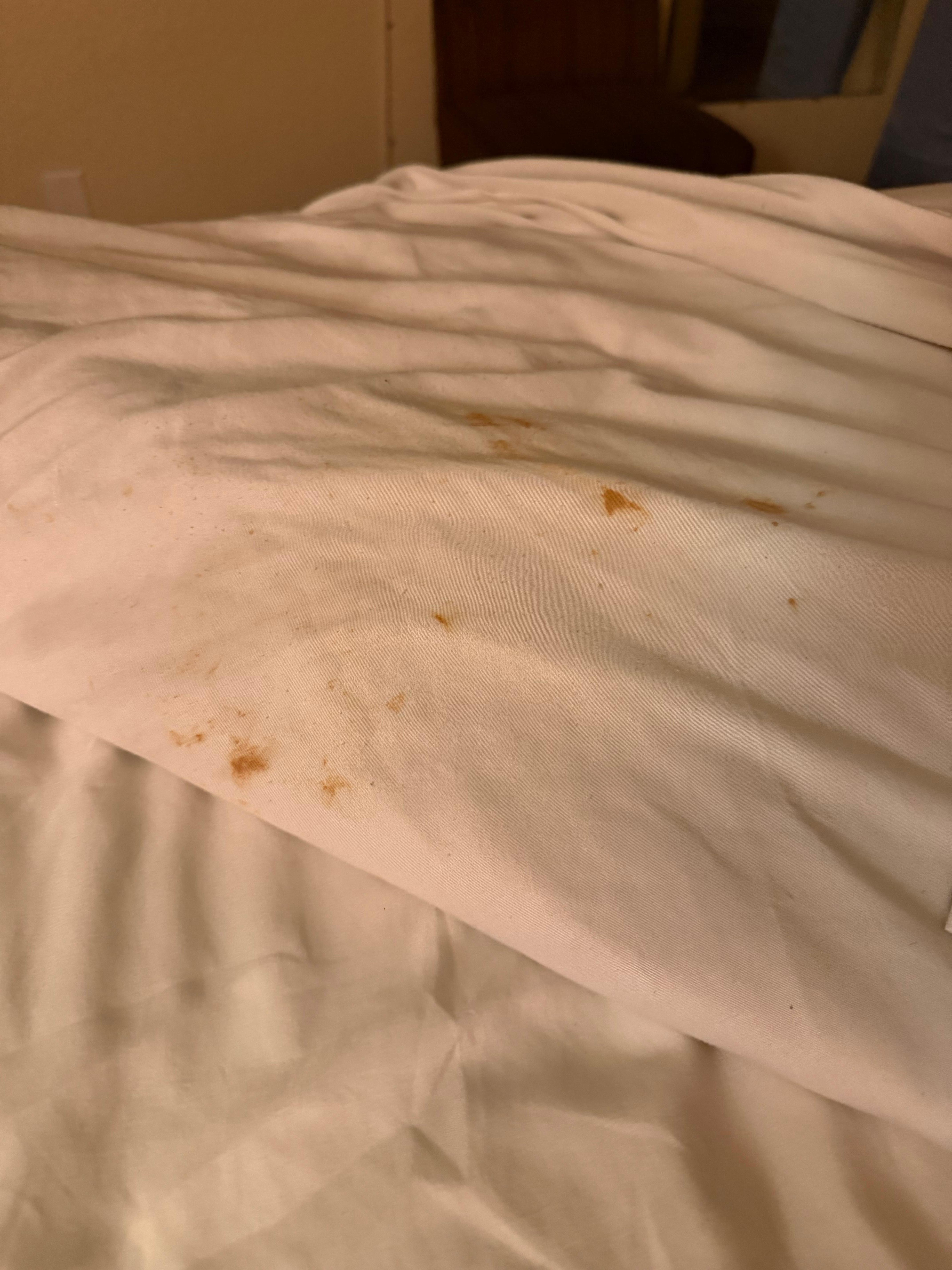 Blood spots on the sheets