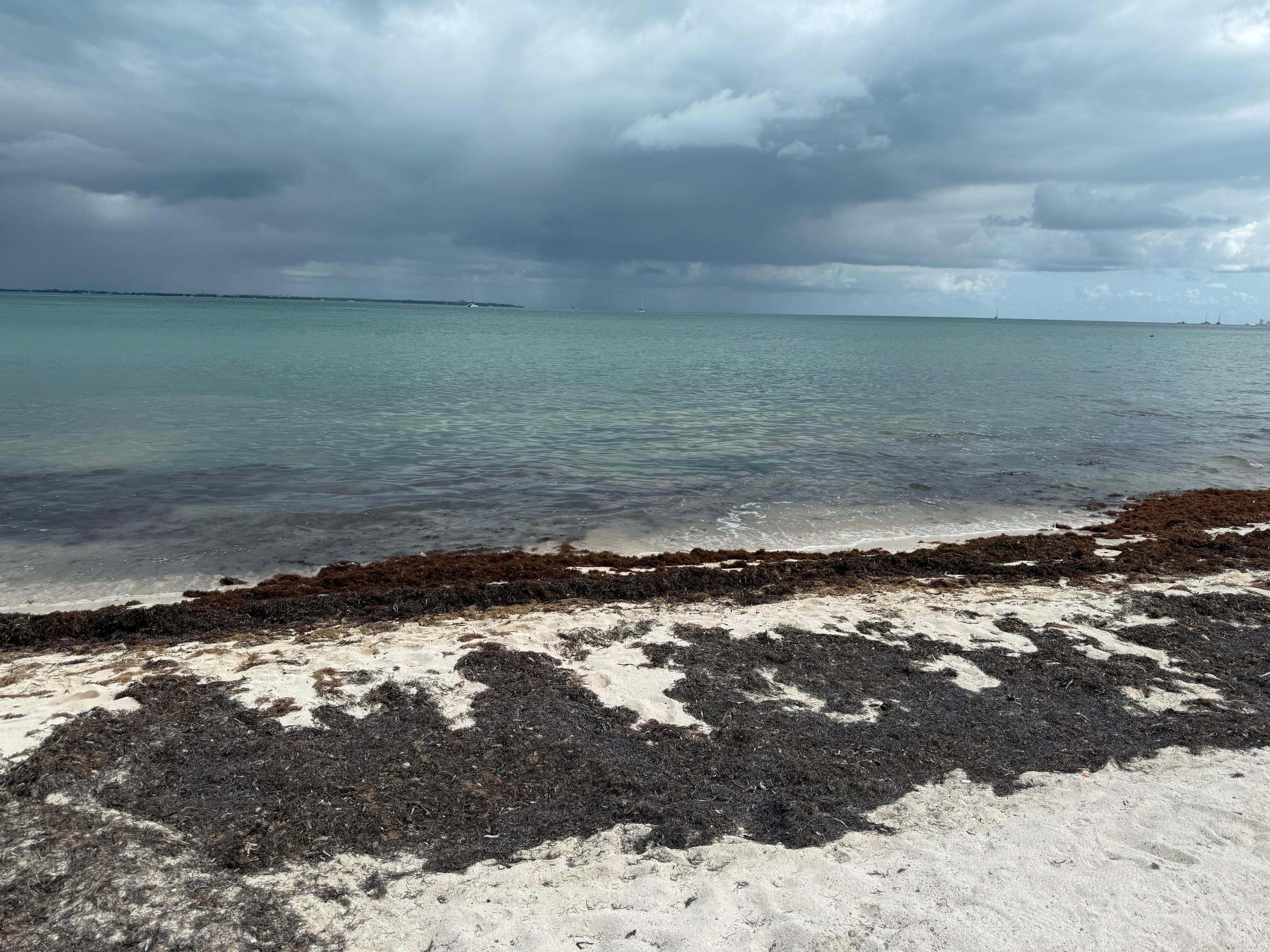 Beaches looks like this. I could not even get in the water without  hurting my legs