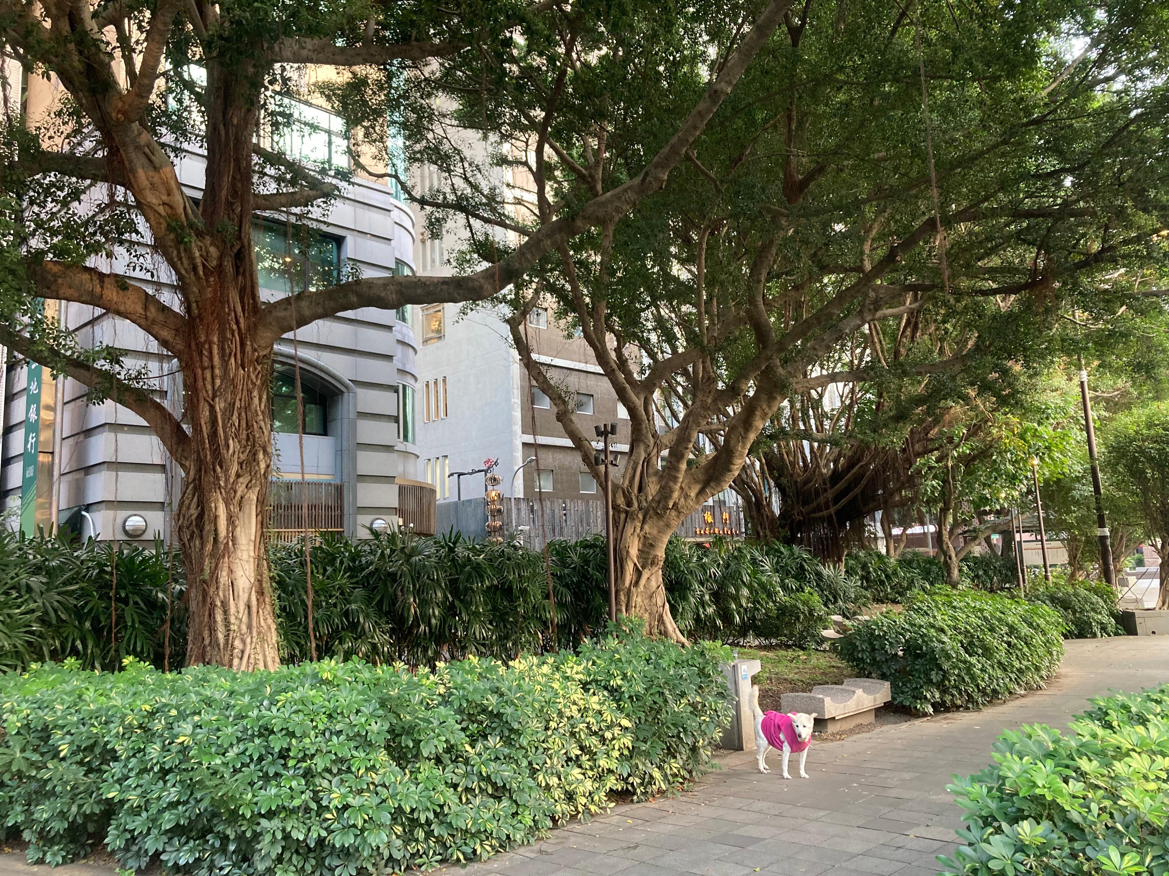 호텔 바로 옆 공원