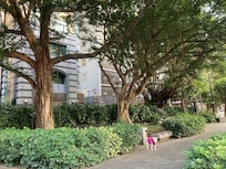 호텔 바로 옆 공원