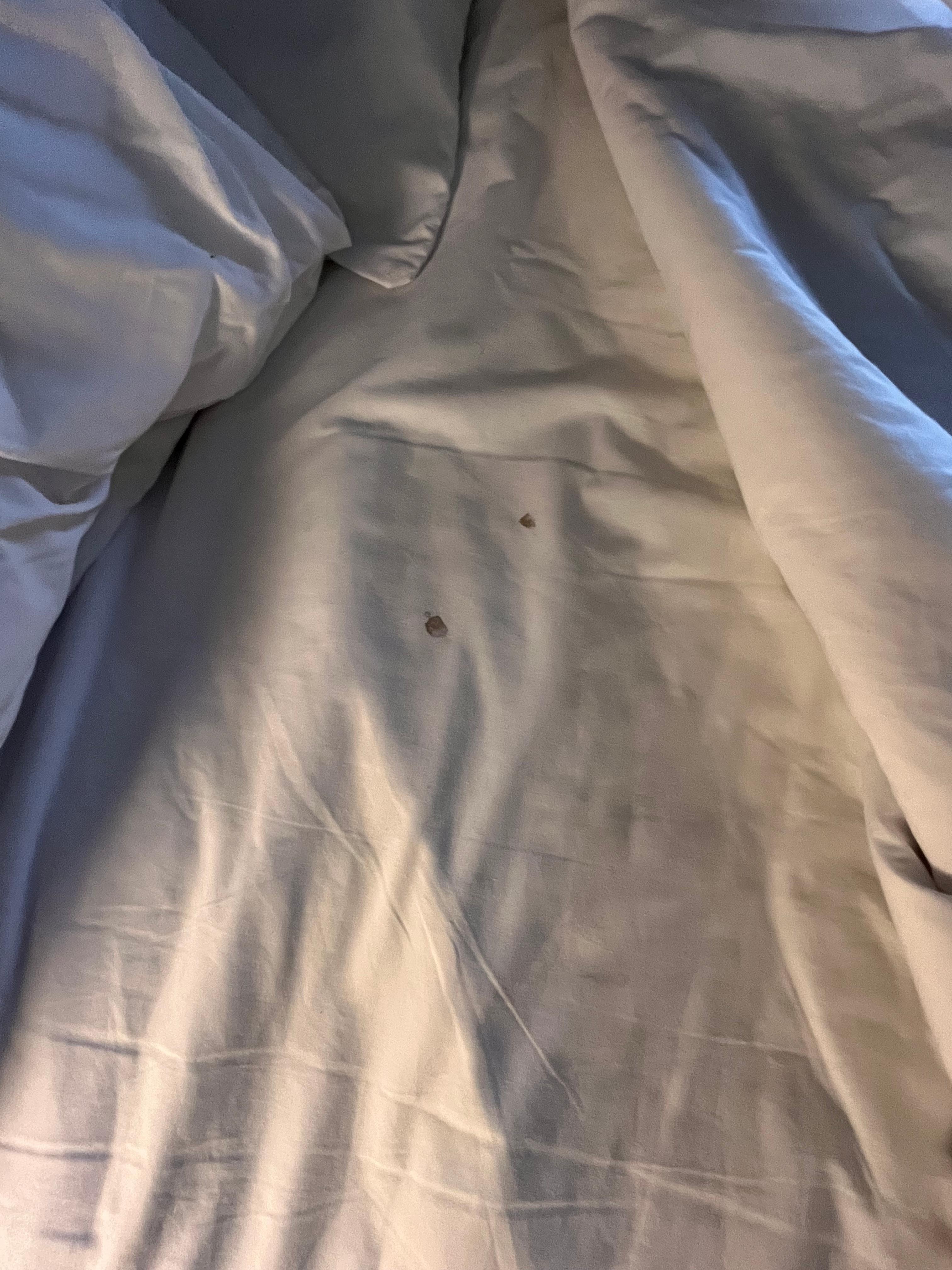 Blood stains