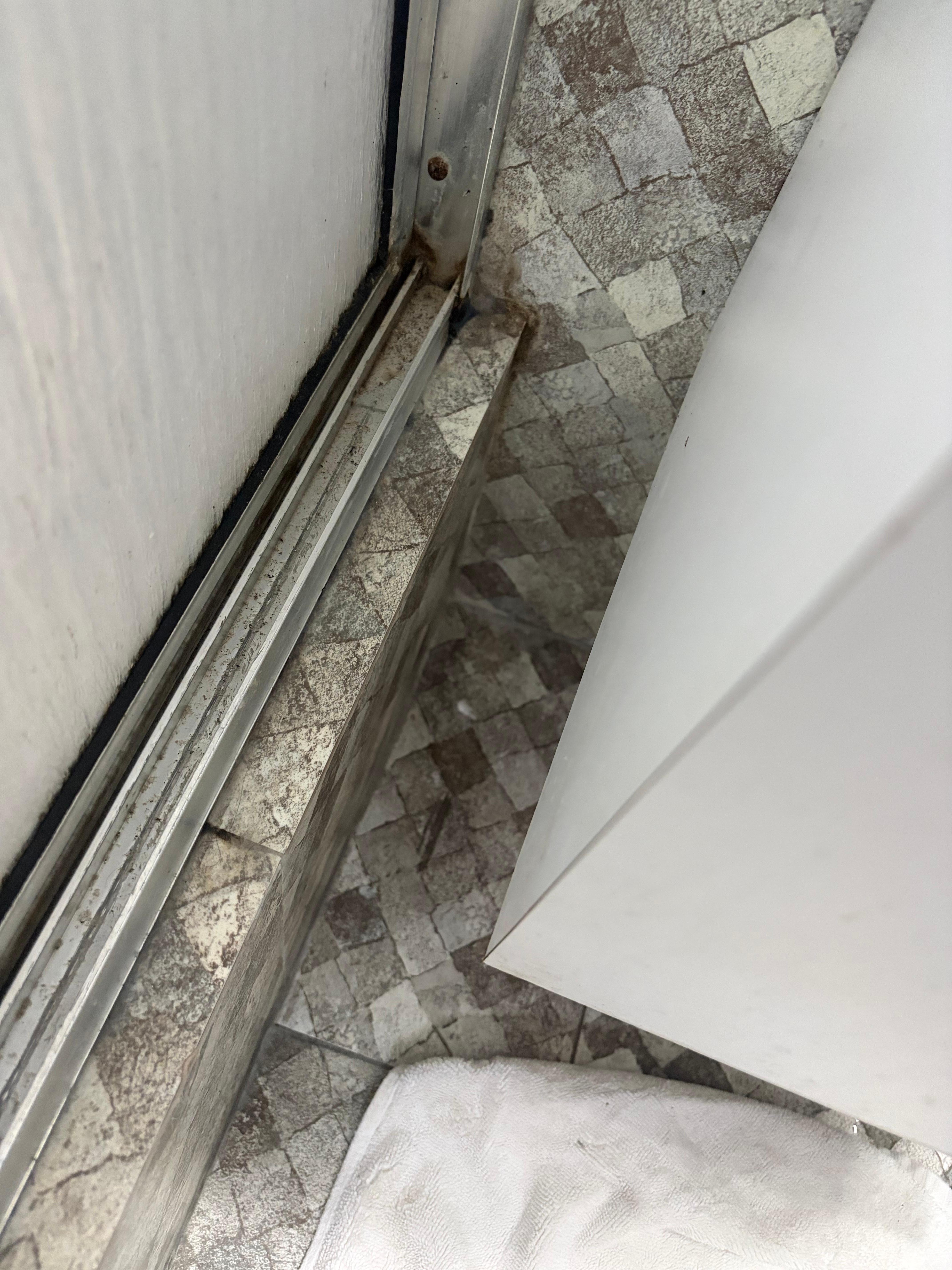 Mold in and around the shower door