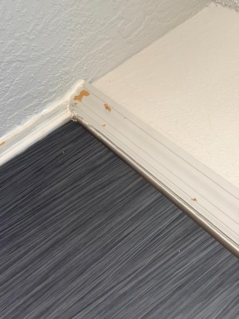 There were chunks of paint chips all over the room. 