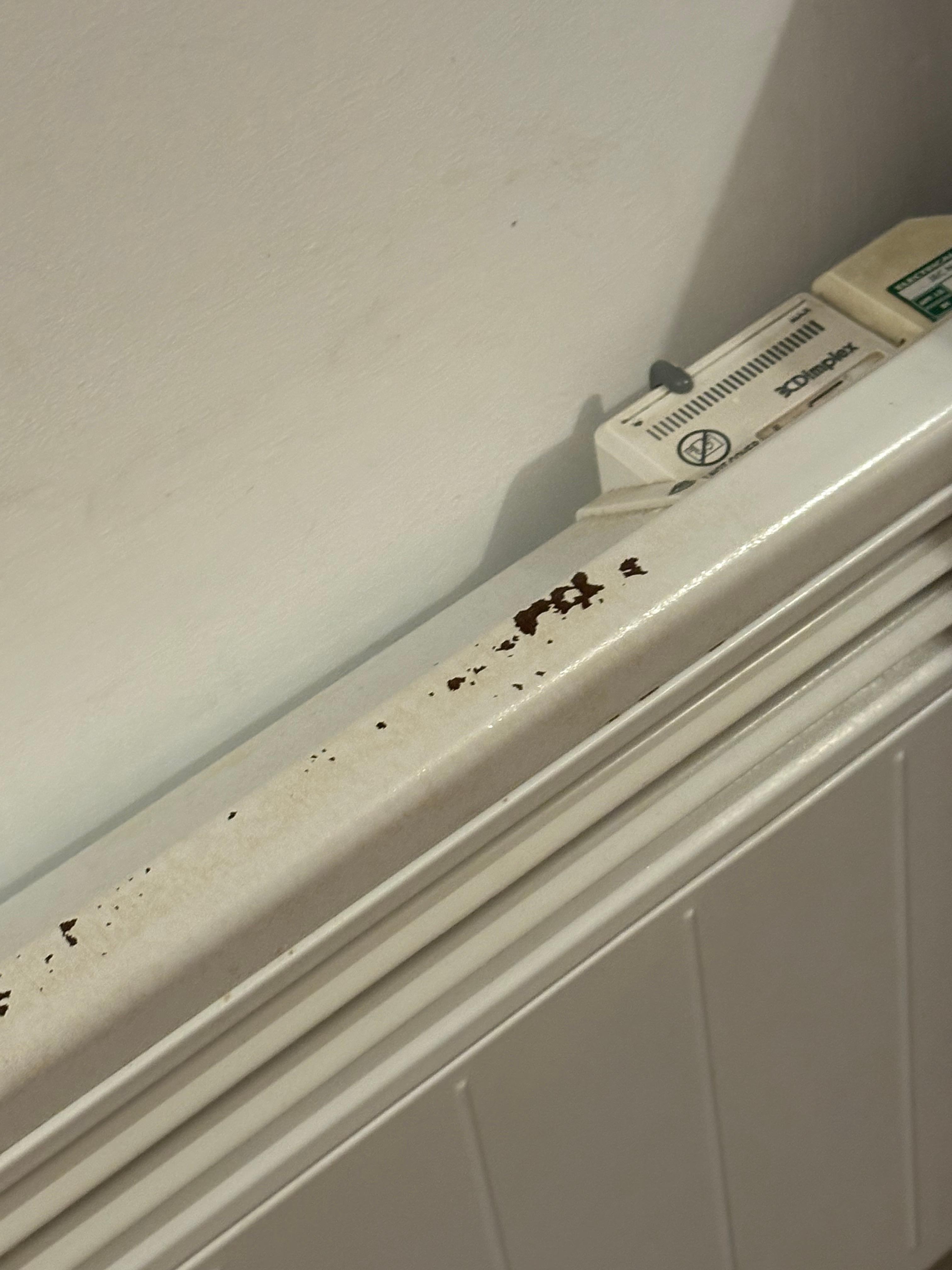 Rust on heater