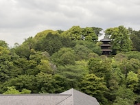 View over the gardens