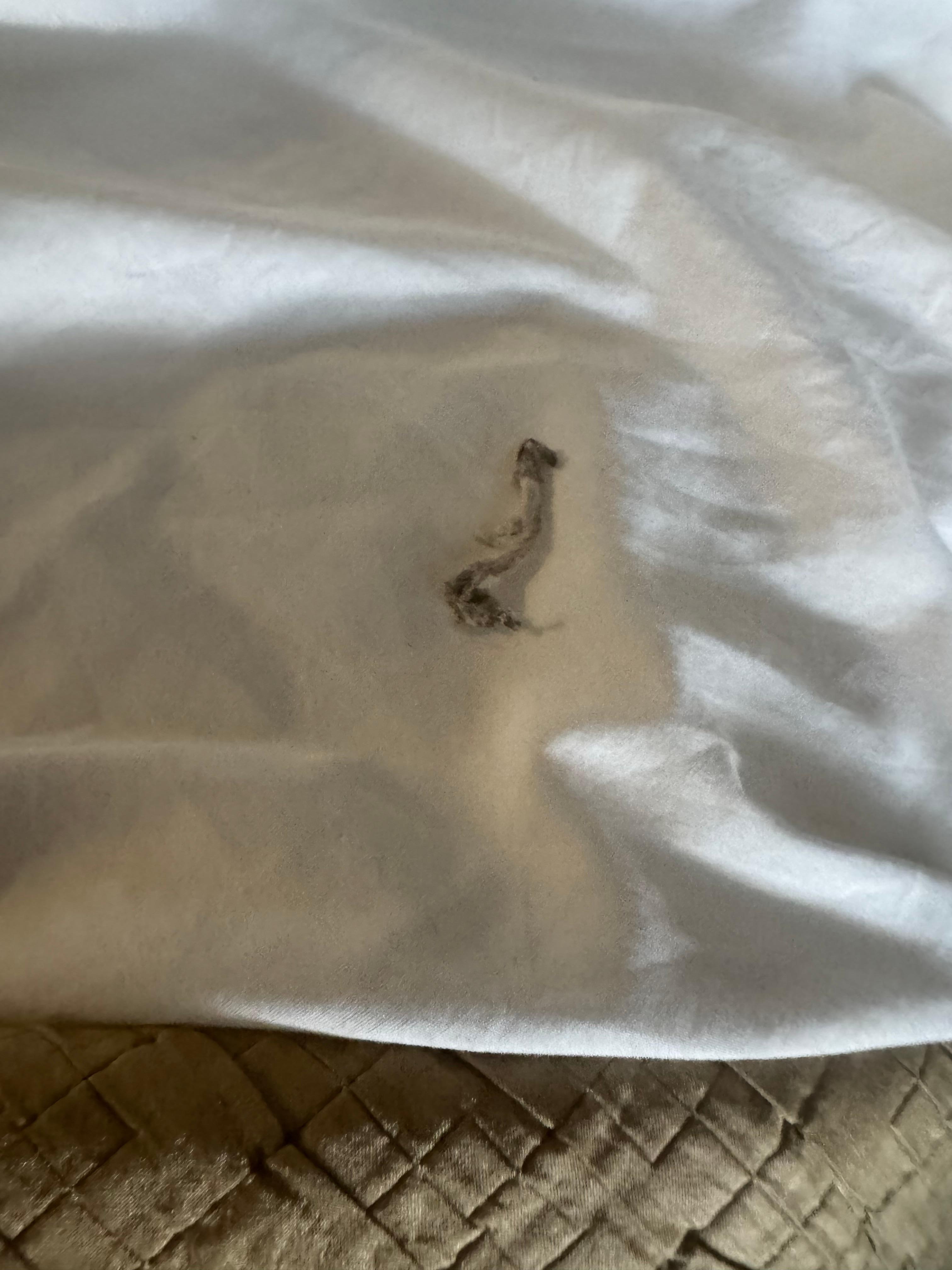 When we pulled the cover back this was there no clue what it was!! It looked like a burnt ash of a paper or something is what came to mind but no clue 