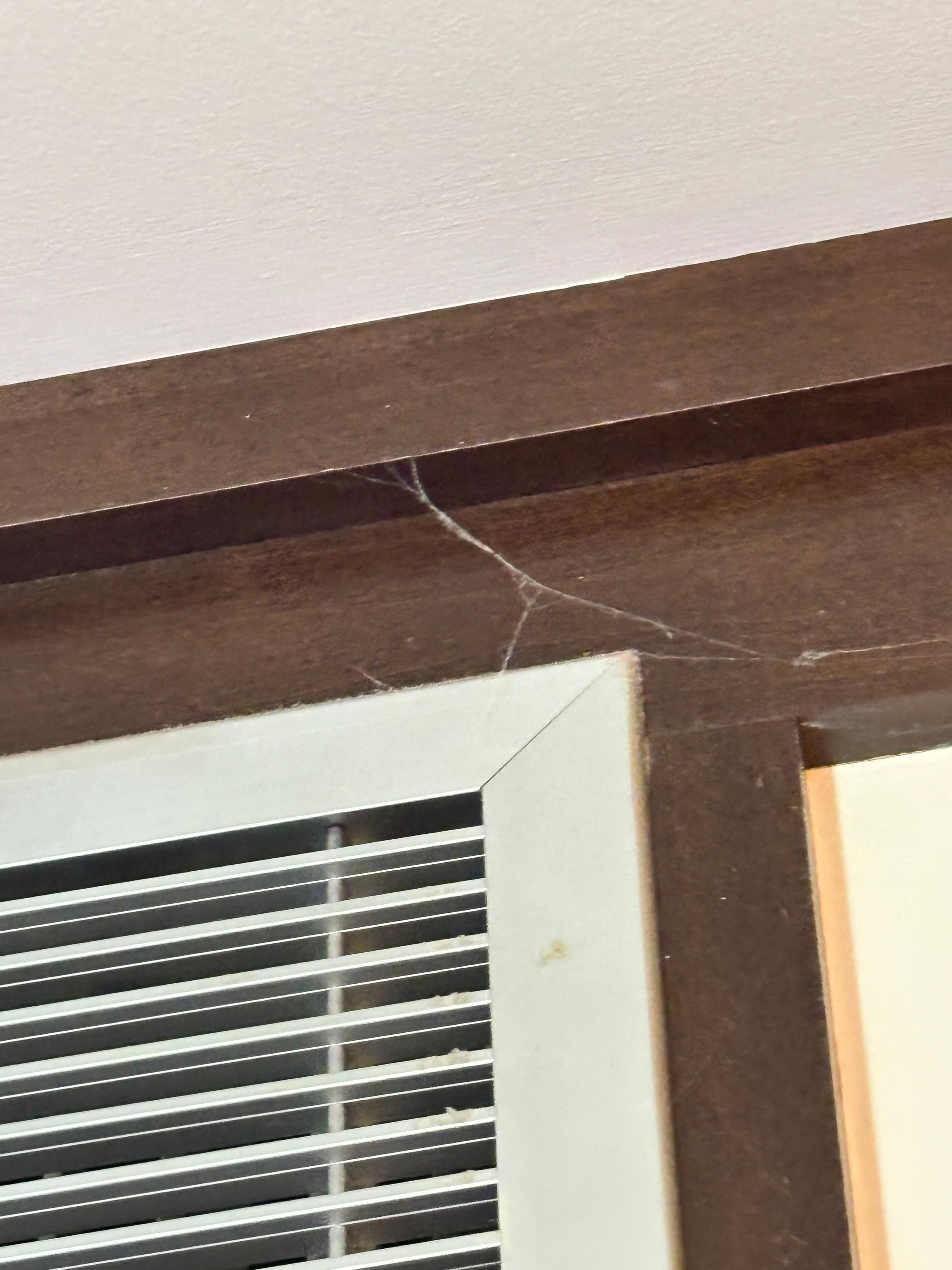 Cobweb