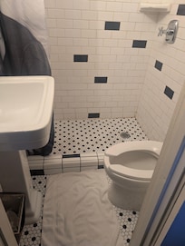 Closet sized bathroom with stains