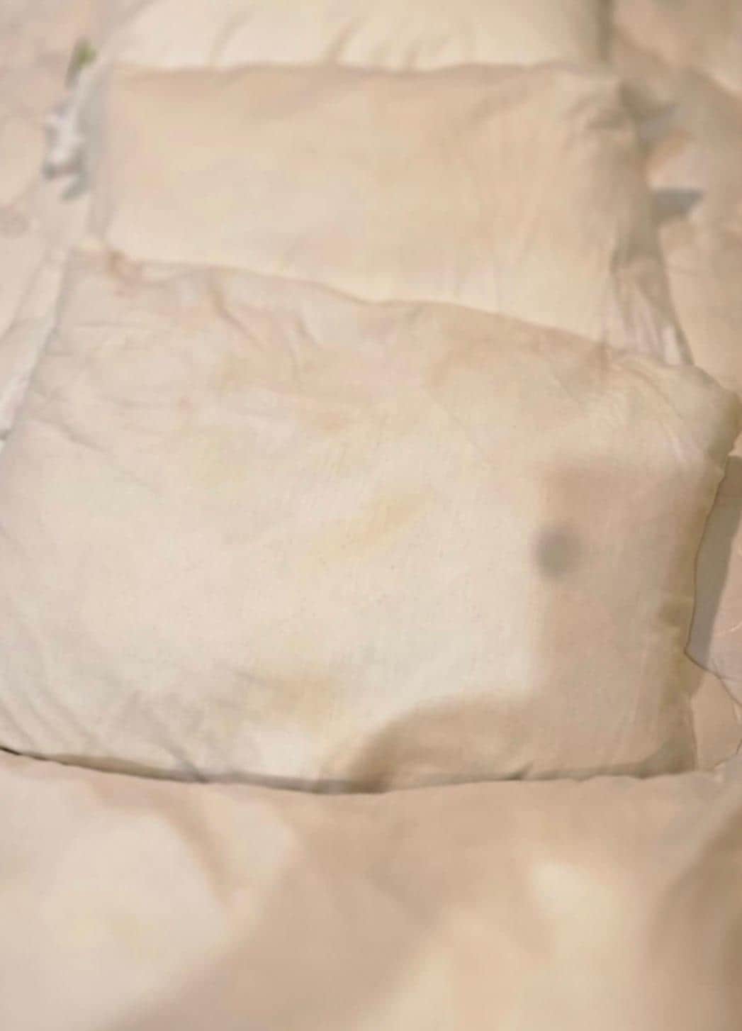 Foreigns stains on all pillows. Unfortunately I don’t have pictures of the musty stench.