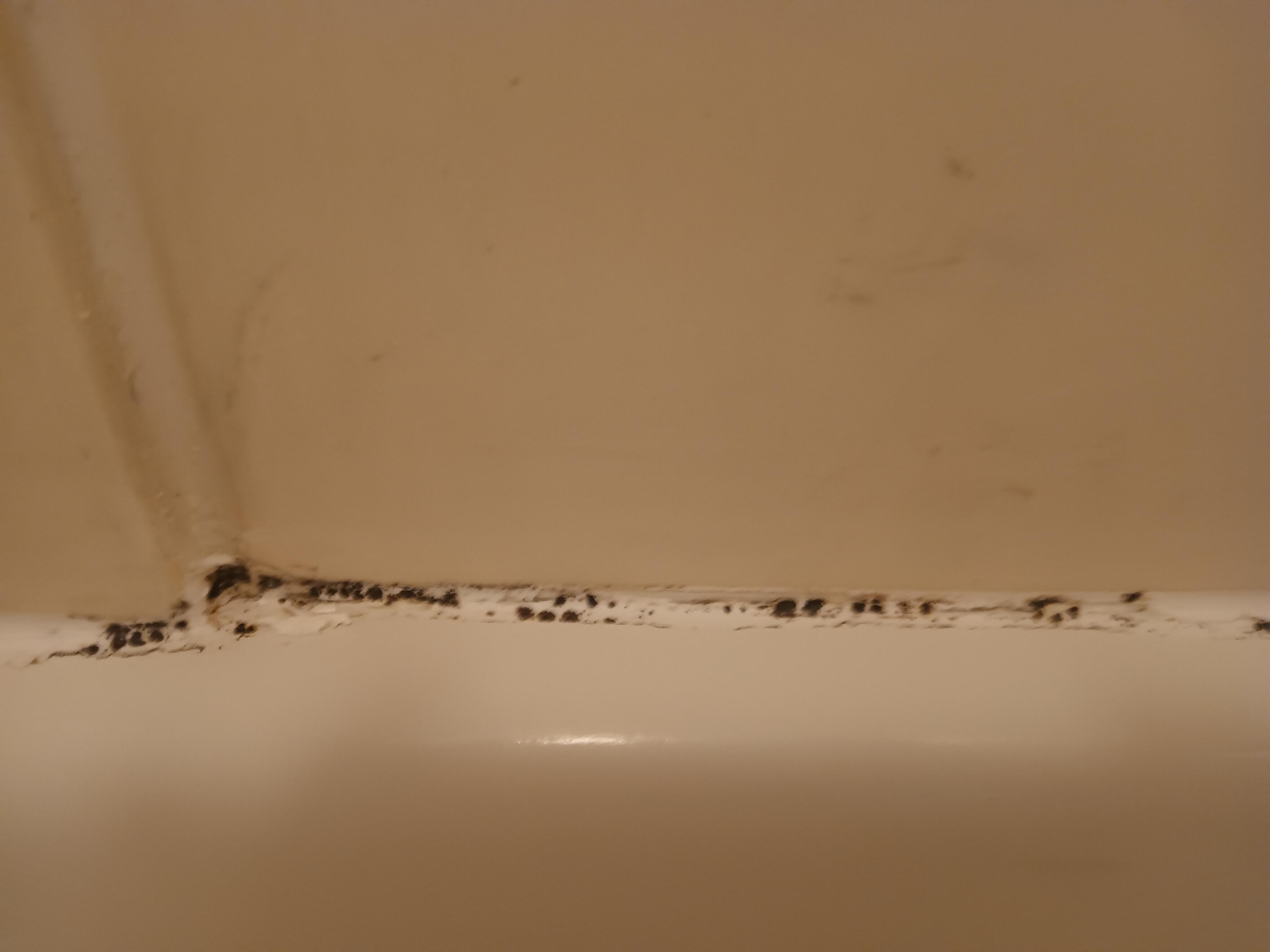 Black mold in bath