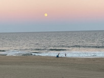 View from room during the day