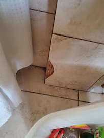 Broken bathroom tile hidden behind trashcan