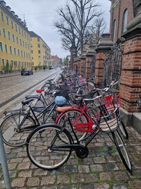 Have bike will travel